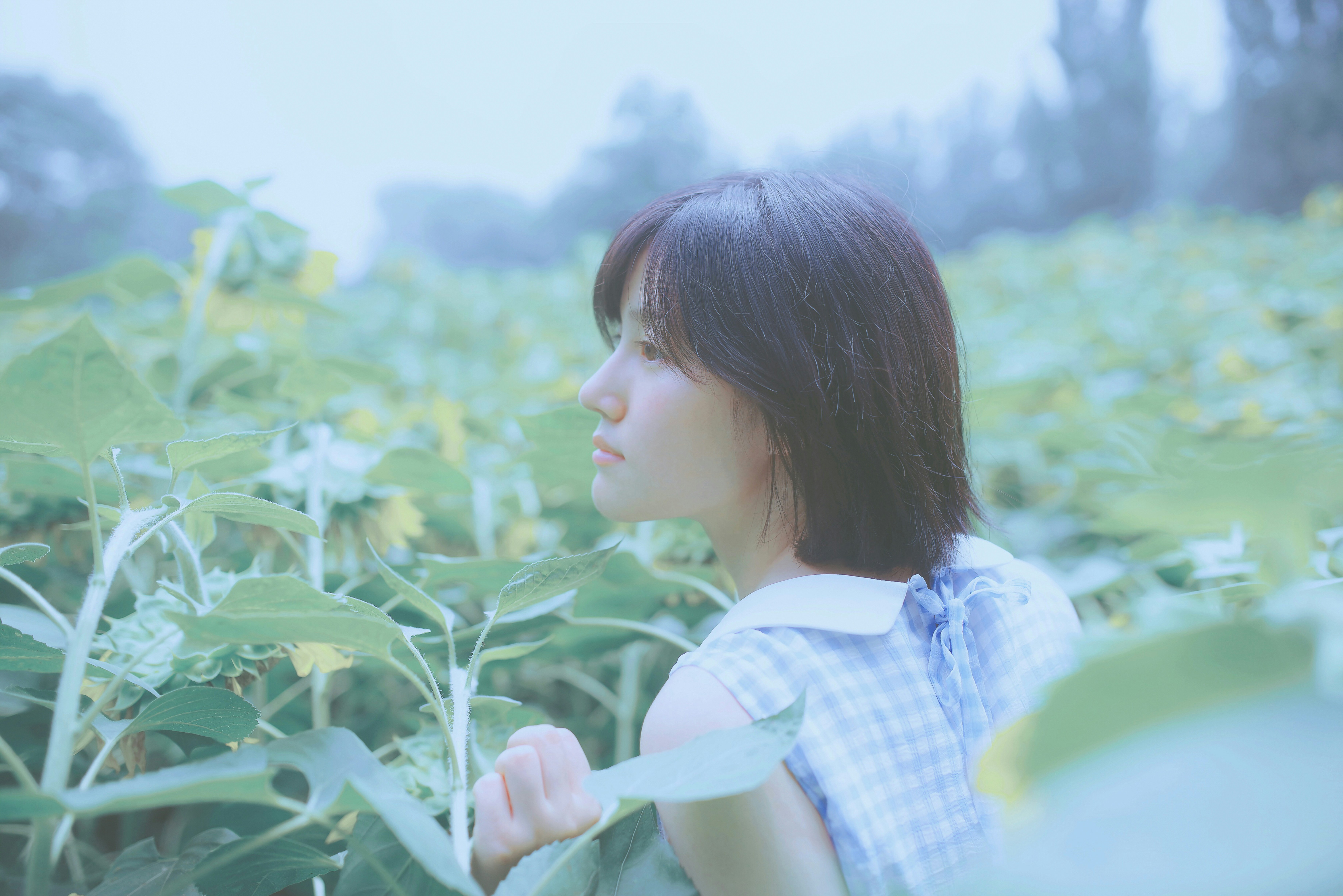 Portrait photograph of a young woman with short dark hair in a leafy field, a soft blue haze and shallow depth of field surrounding her.
