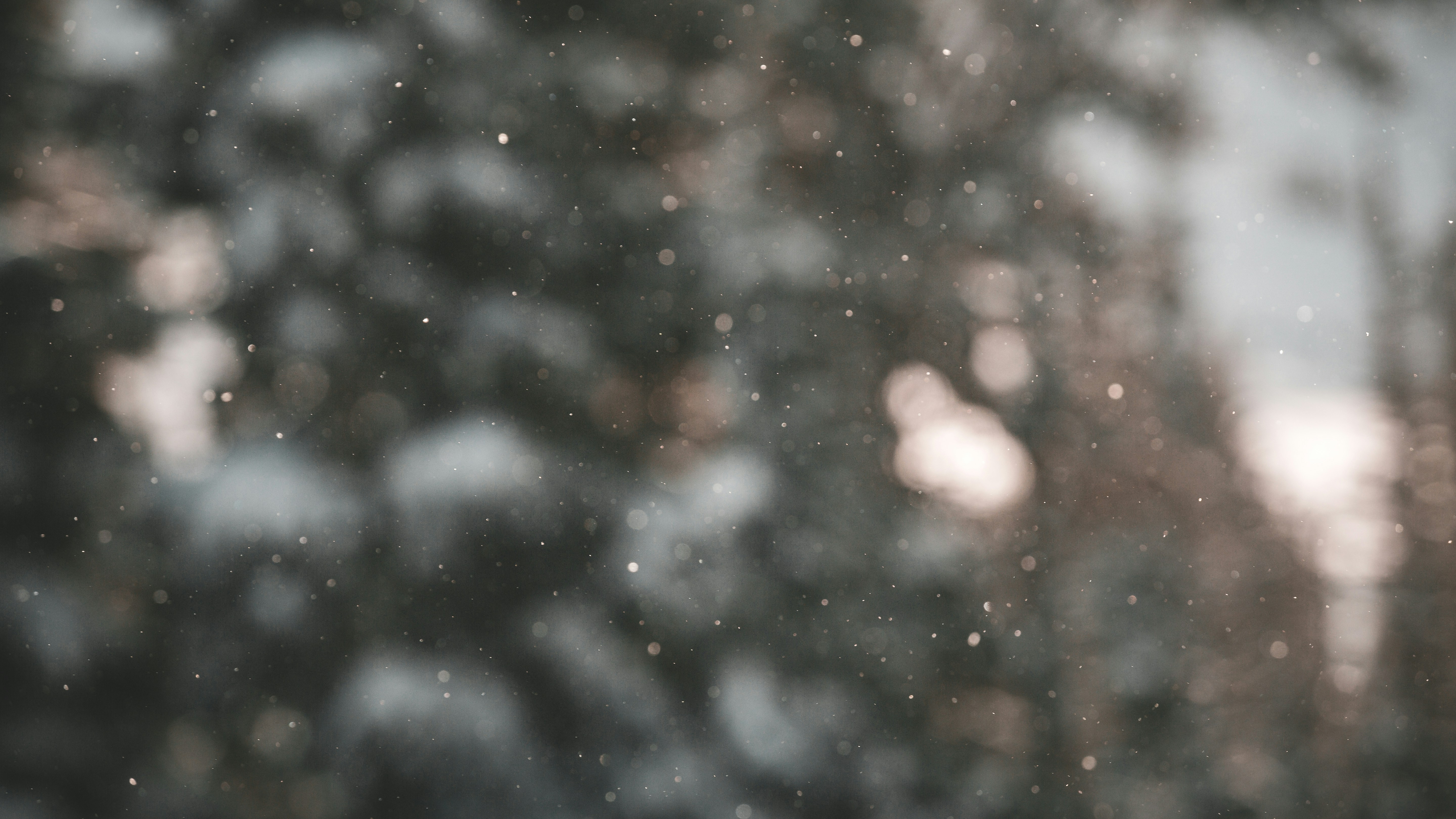 A blurry photo of snow falling from a window photo – Free Grey Image on ...