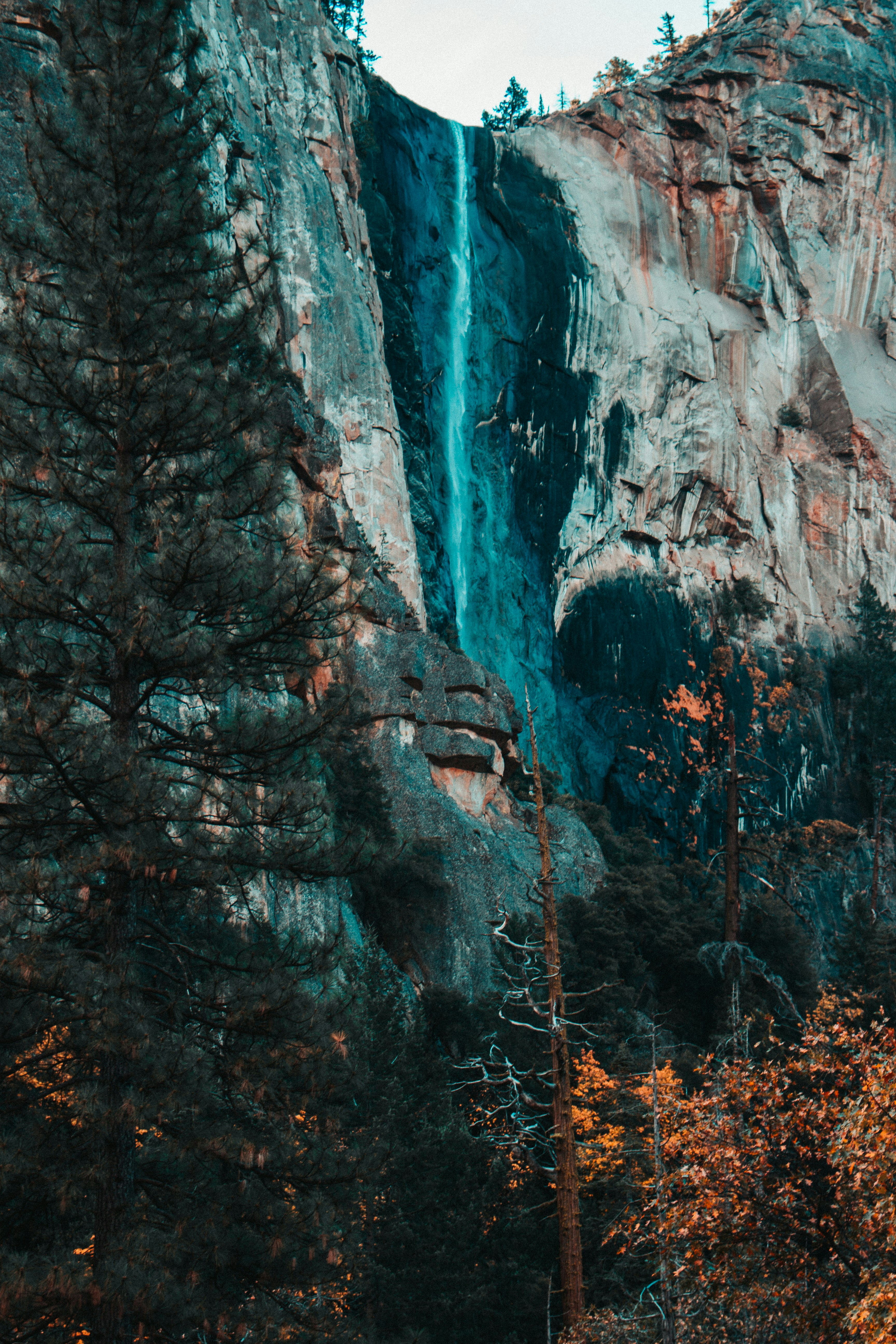 A Veil of Turquoise: Yosemite-like Cascade Between Pines