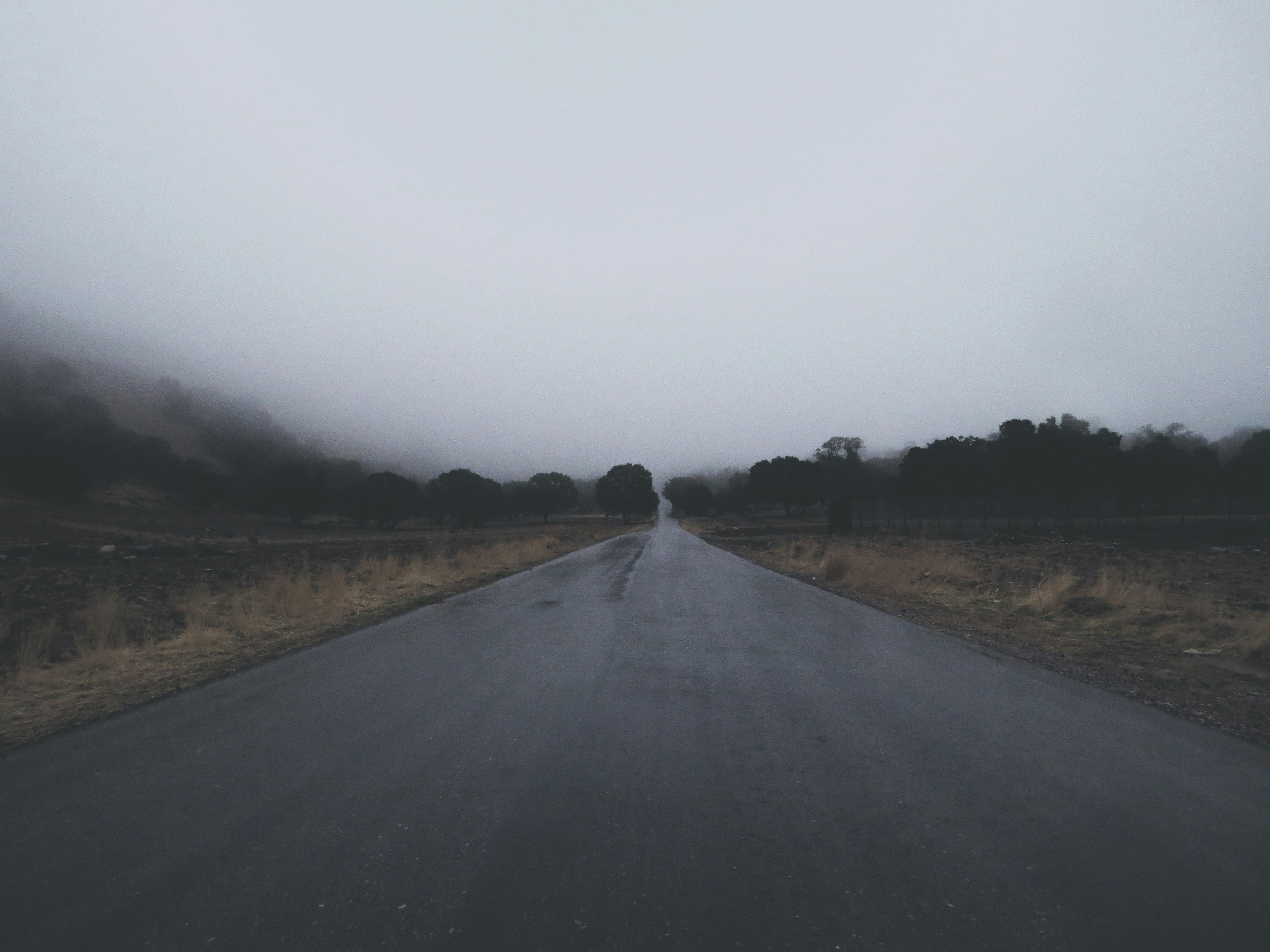 Misty road disappearing into dense fog, flanked by barren fields and distant trees.