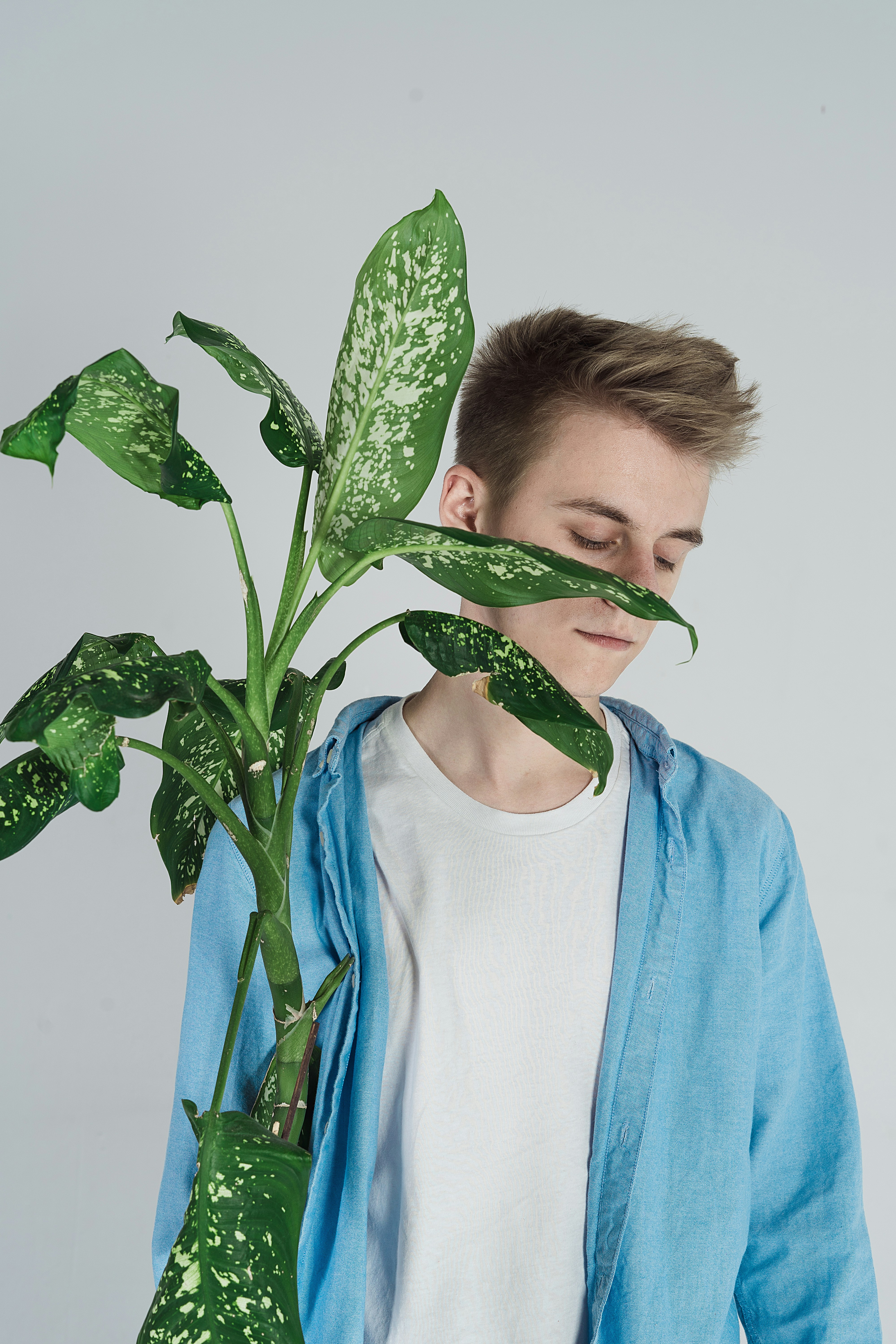 Leaves Across a Quiet Portrait: Blue Shirt and Dieffenbachia