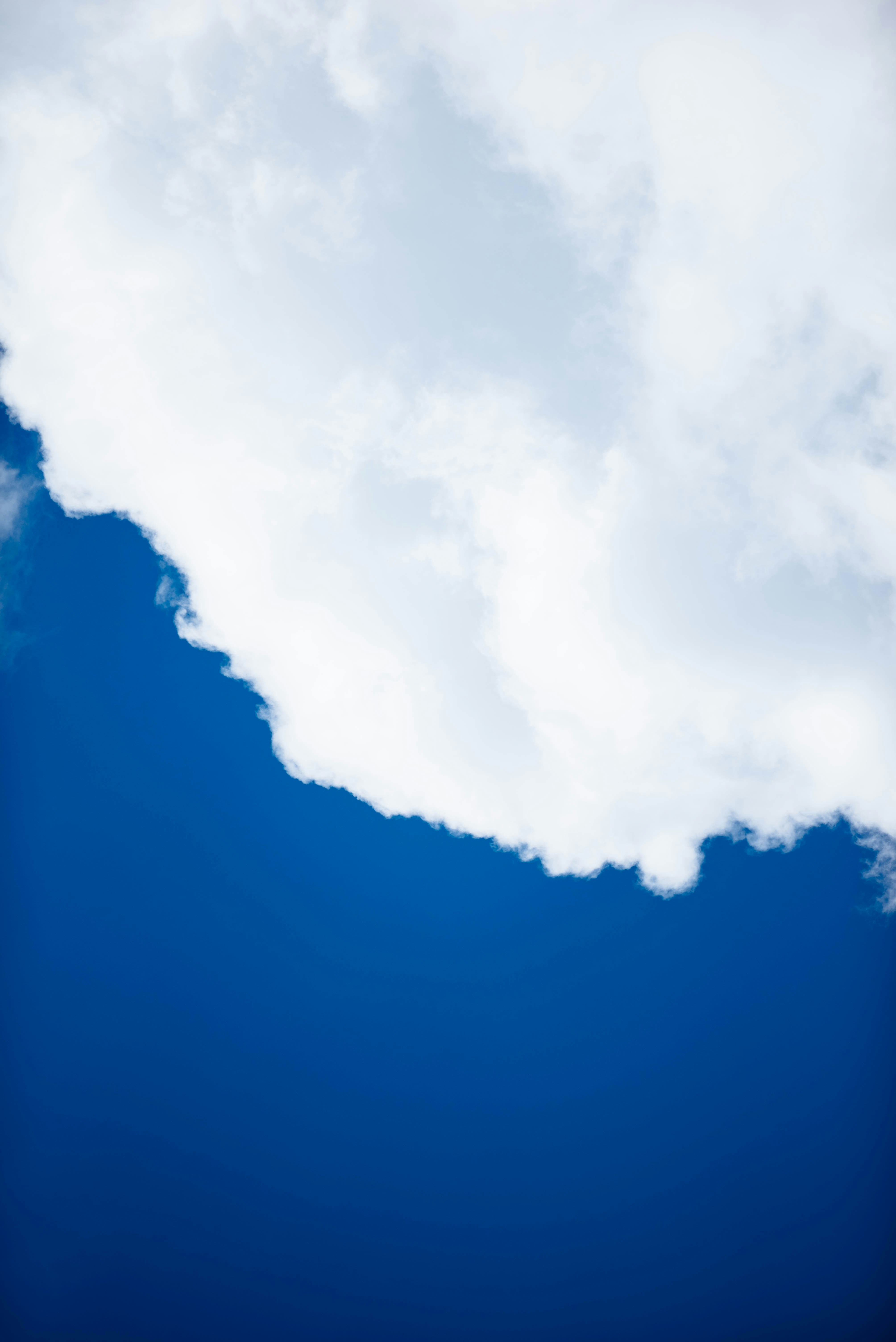 Edge of a Cloud over a Pristine Indigo Sky