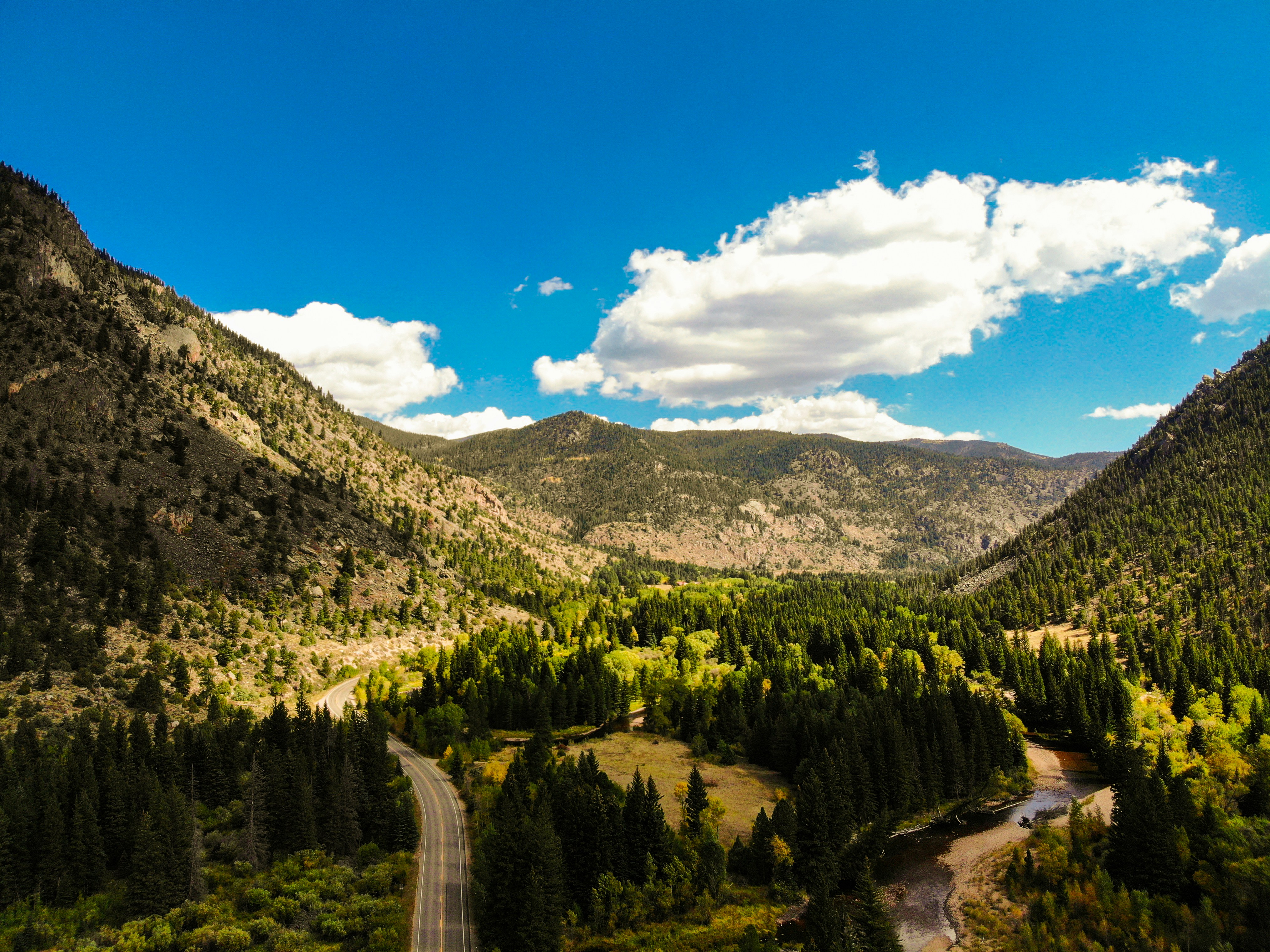 Définition de tige | Dictionnaire français | La langue française