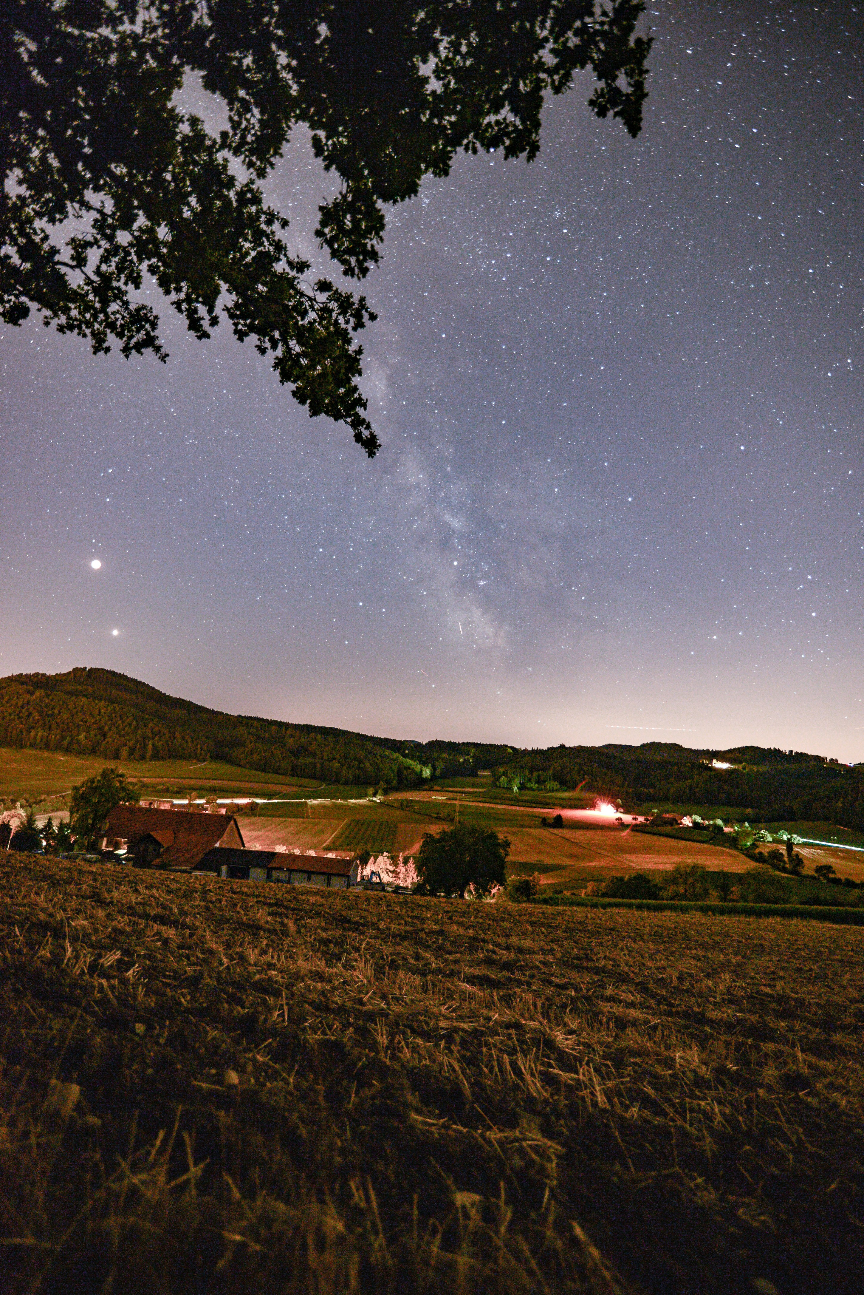Milky Way over the Quiet Valley: Night Sky Framed by a Tree