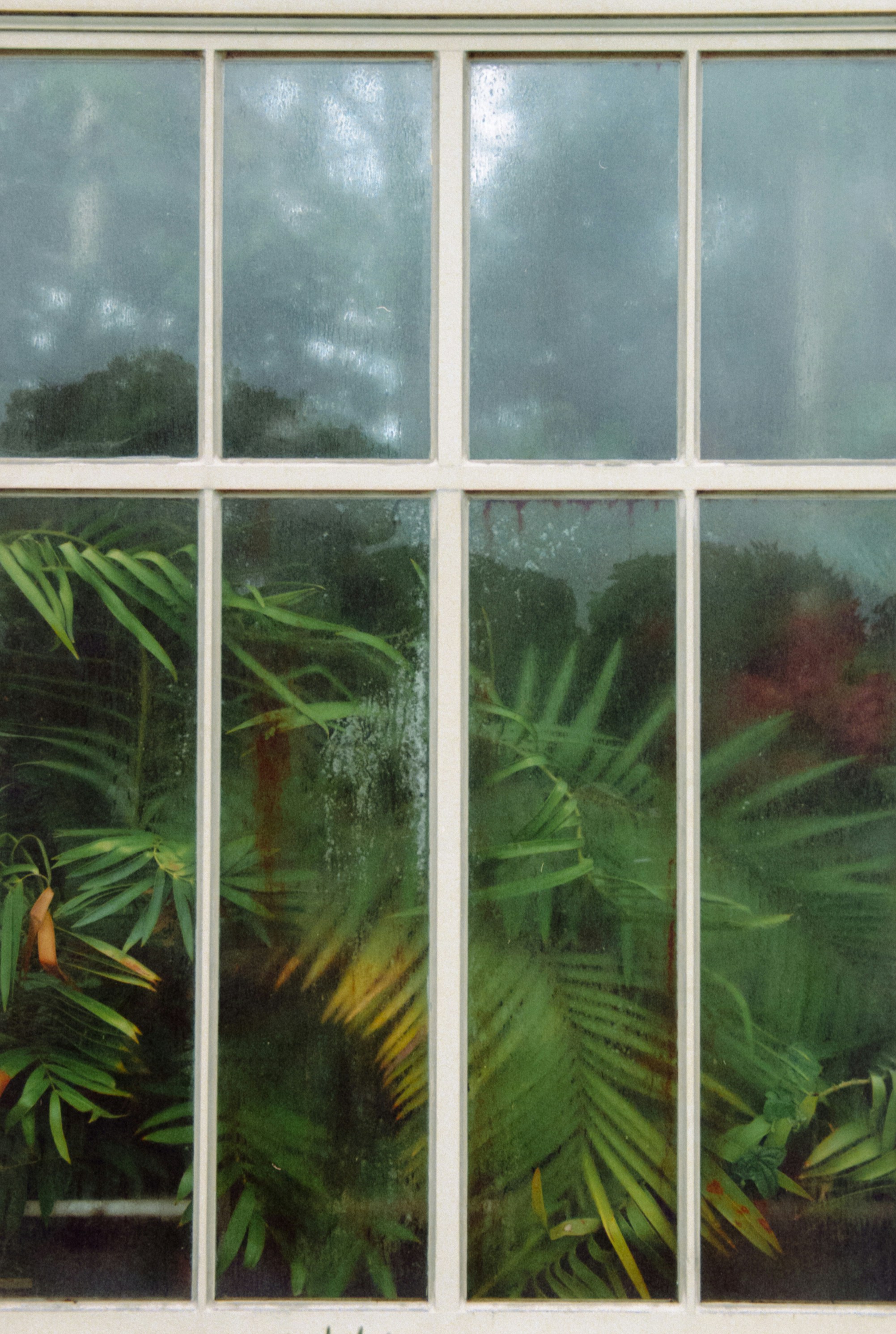 Photo by Vital Sinkevich with Nikon F100