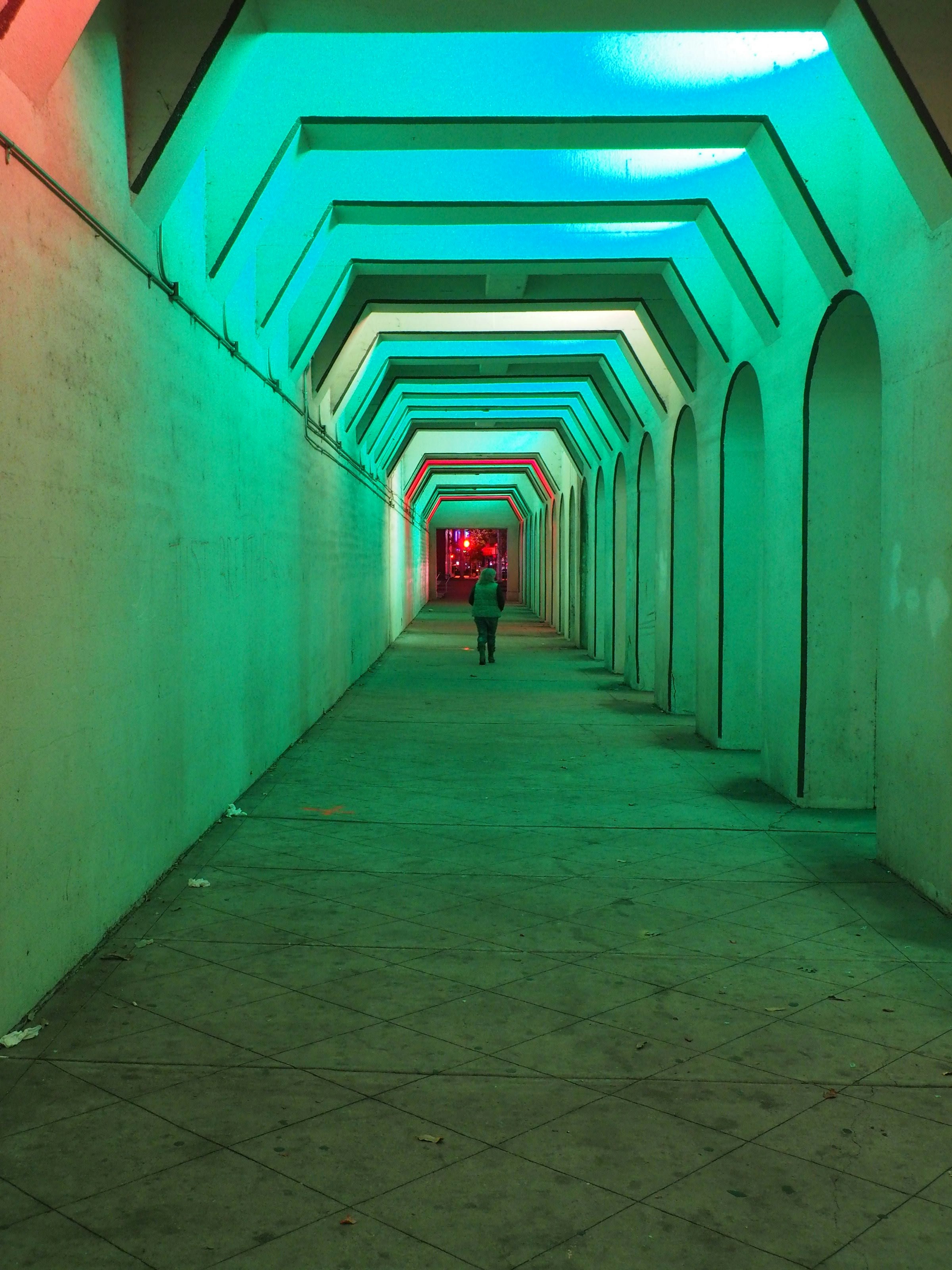 Person walking on pathway photo – Free Person Image on Unsplash