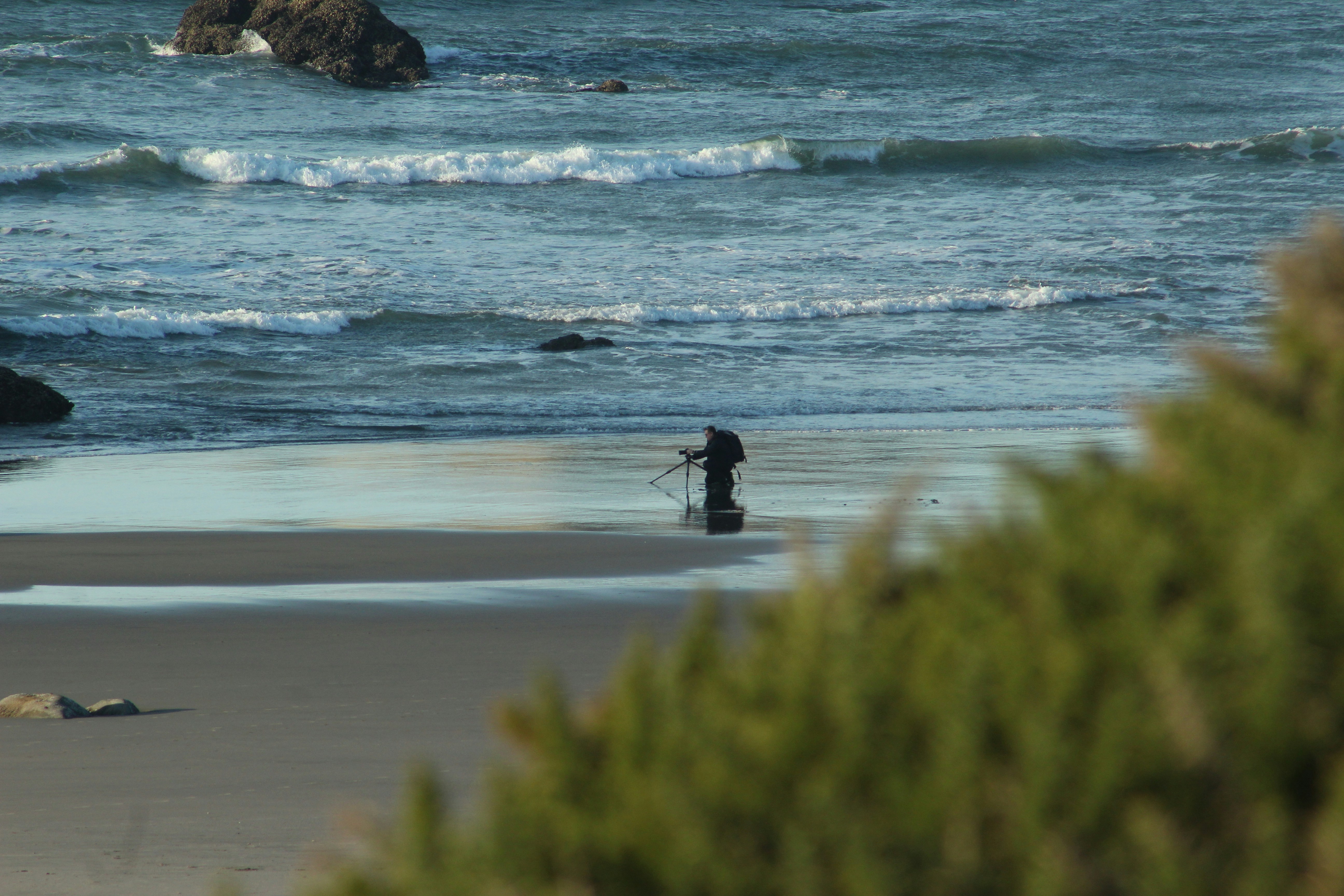 A lone photographer stands on a tranquil beach, setting up a shot against the backdrop of gentle ocean waves. The composition artfully balances the rugged rocks and soft sands, with lush greenery framing the foreground. The muted blues and greens, paired with the soft lighting, create a peaceful and contemplative atmosphere, highlighting the photographer’s dedication to capturing natural beauty.