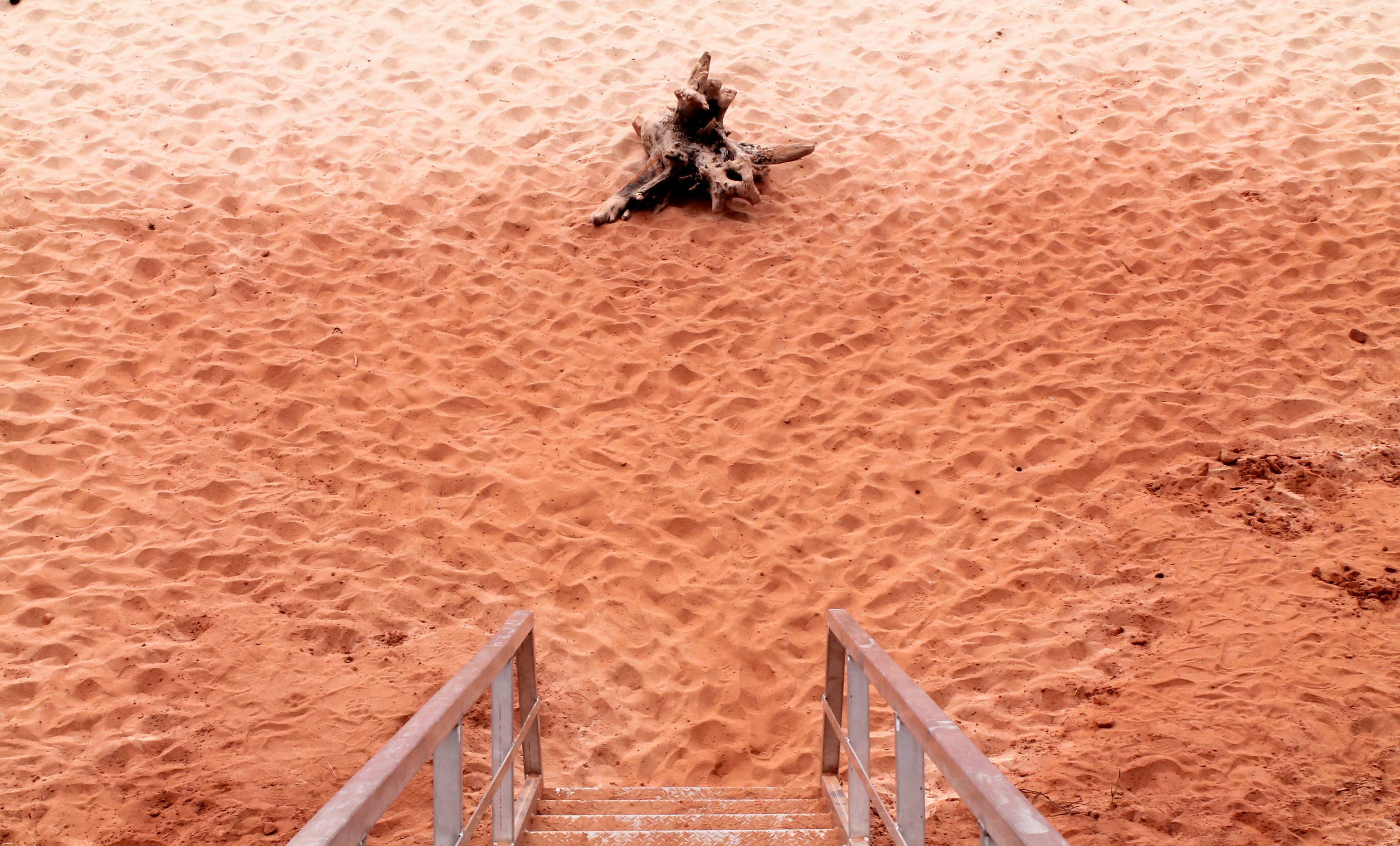 Weathered wooden stairs lead down to a sandy expanse, with a gnarled log resting in the foreground. The scene evokes a sense of solitude and connection to nature.