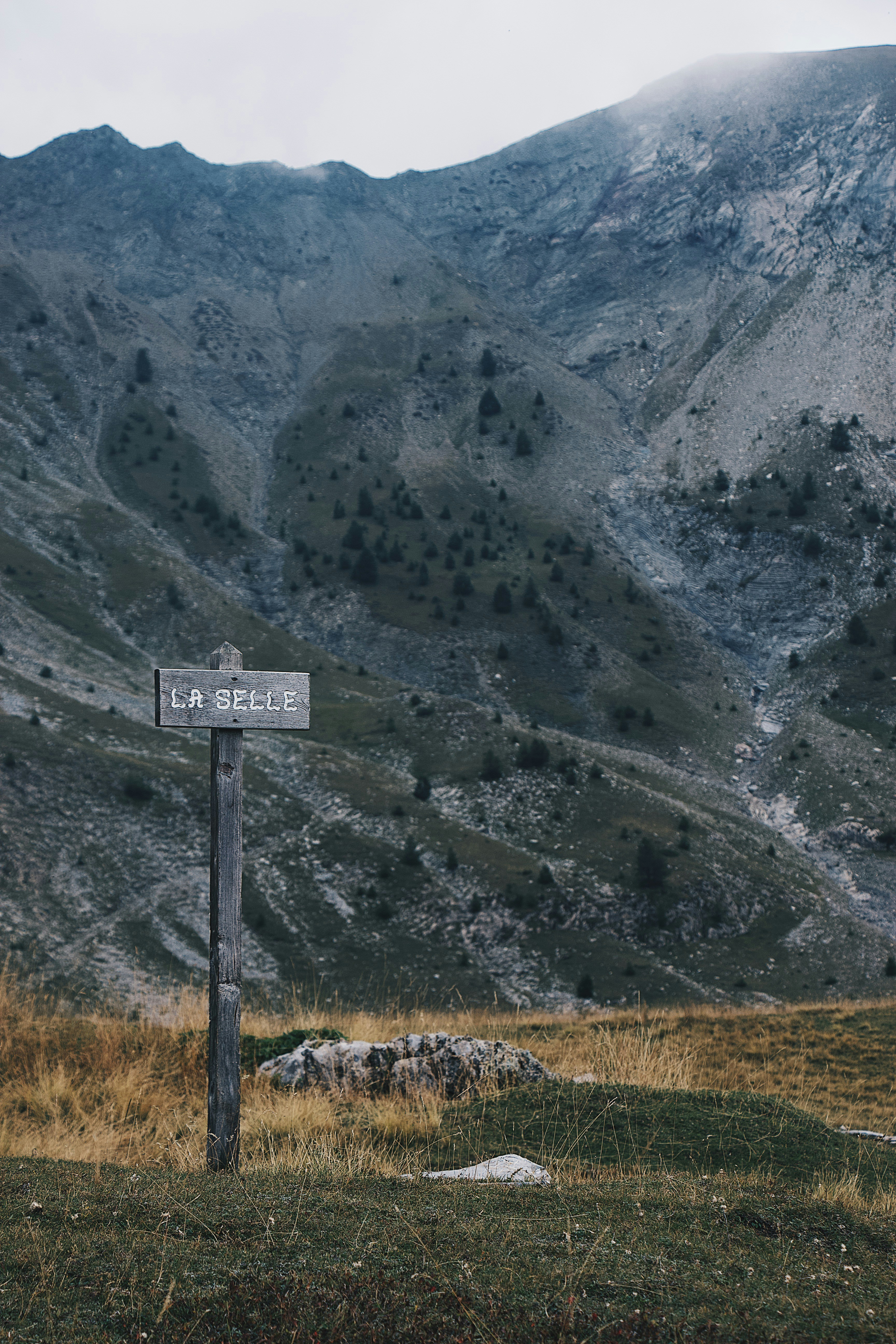 Signage on grass photo – Free Grass Image on Unsplash