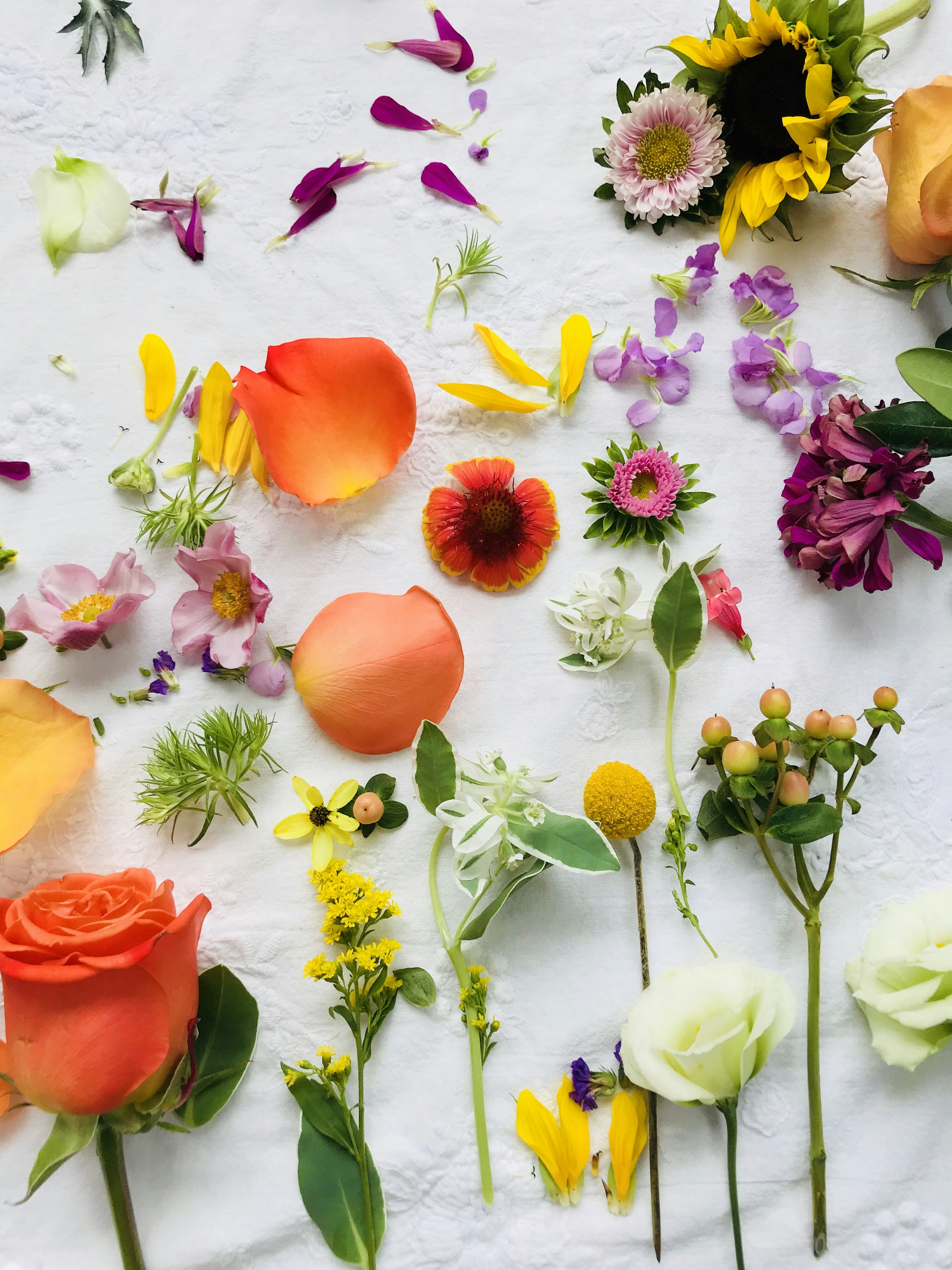 Assorted-type flowers photo – Free Flower Image on Unsplash