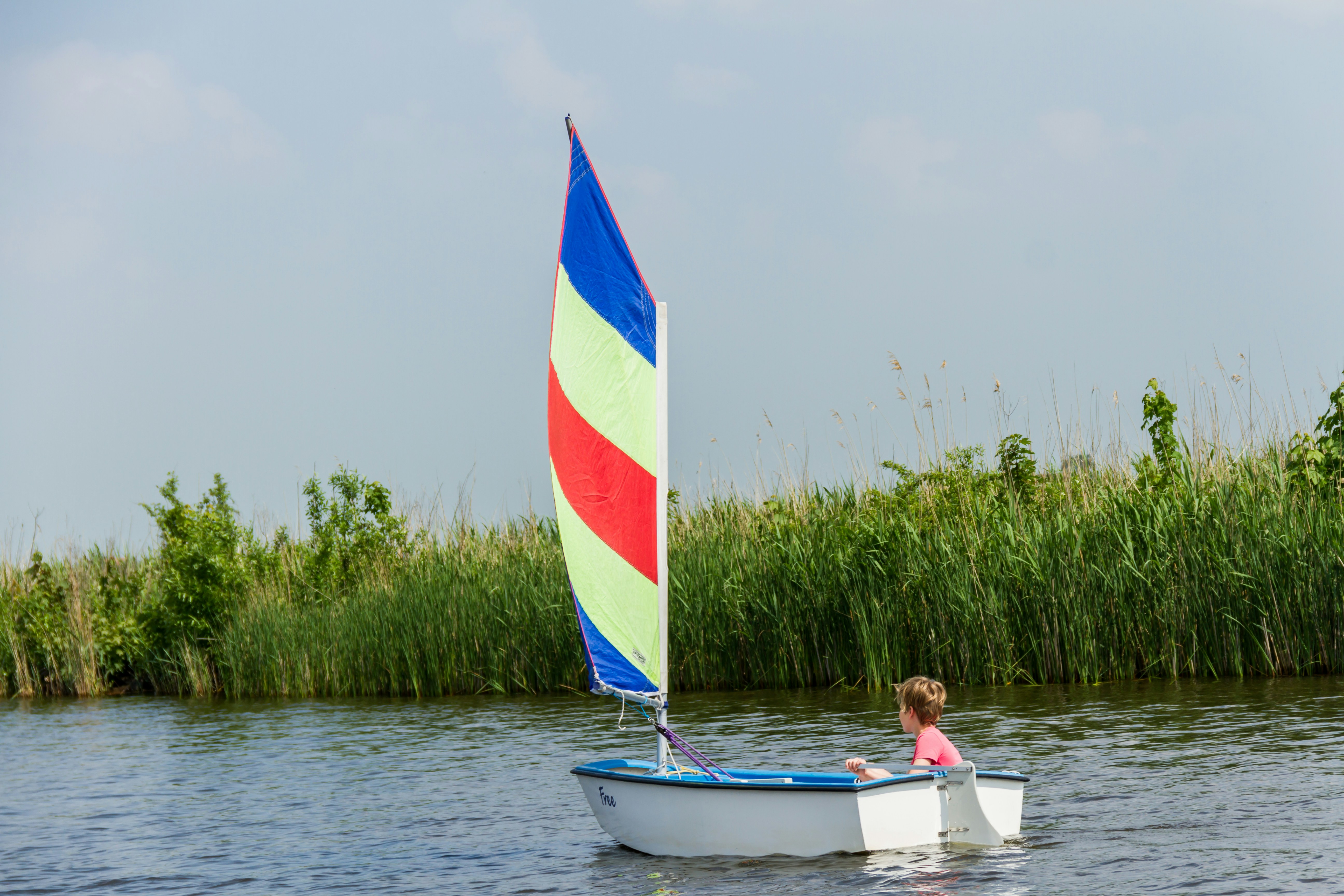 Prism-Sailed Dinghy Drifting by Reeds