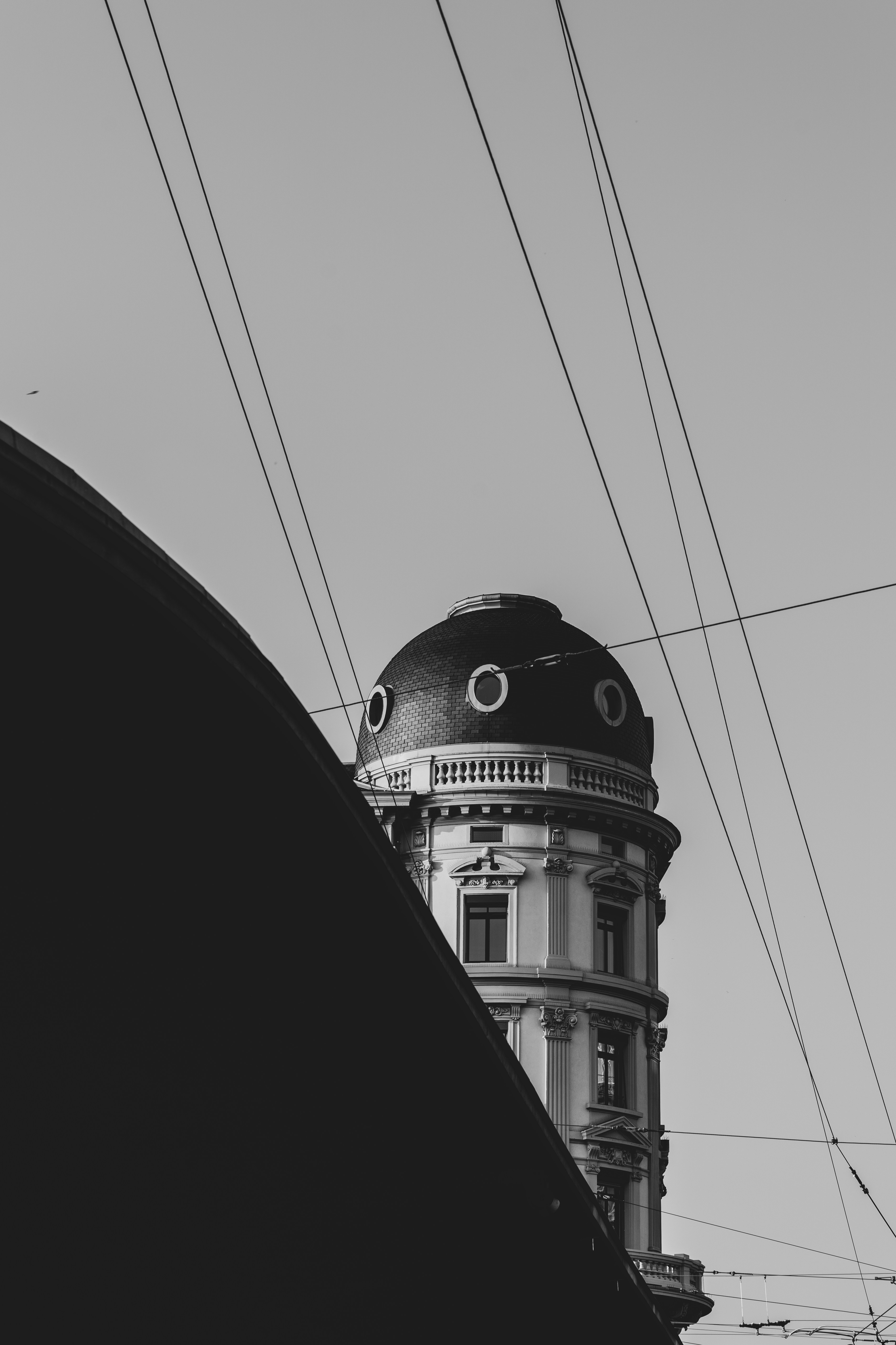 Domed Tower Through a Web of Wires in Monochrome