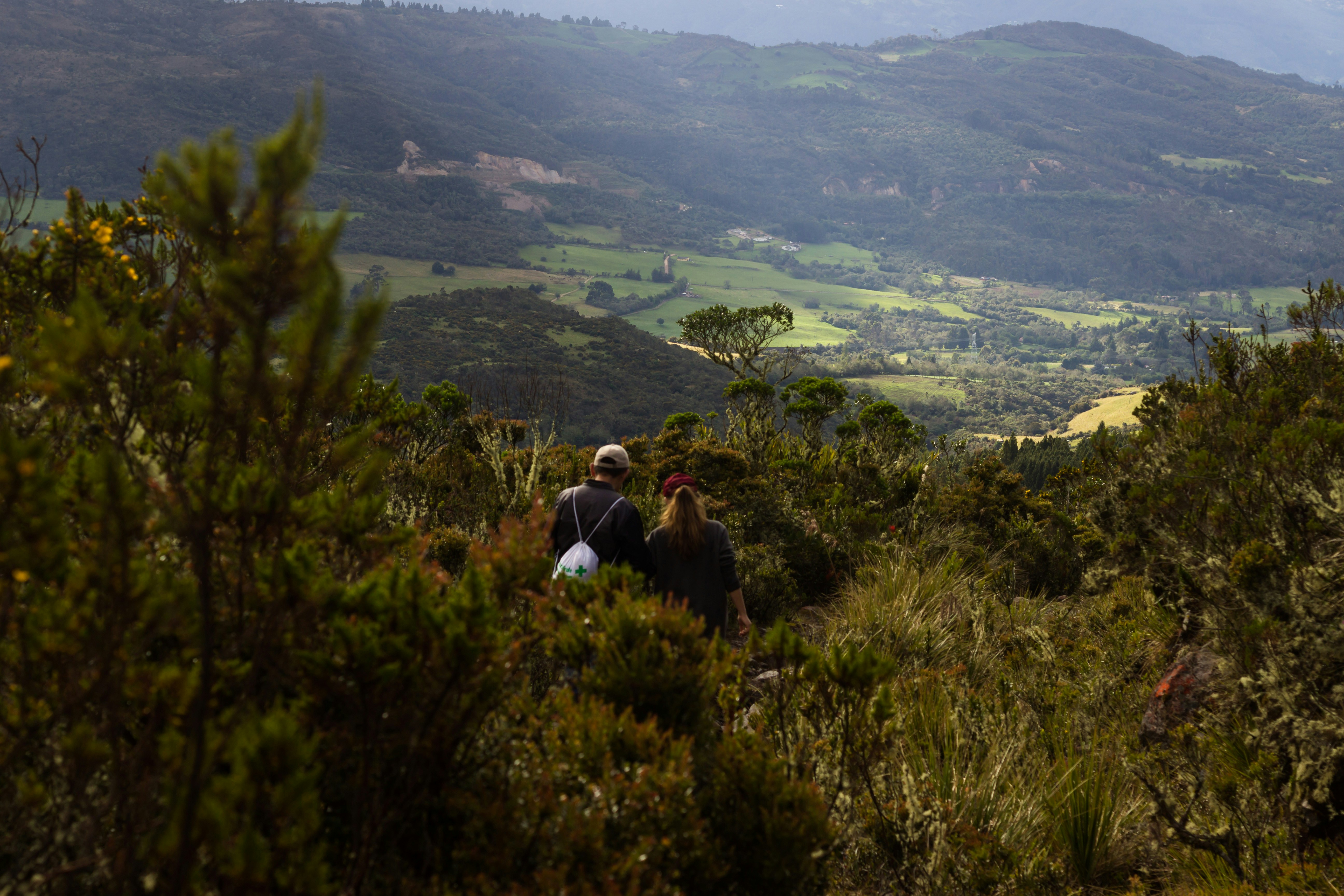 Paramo Pictures | Download Free Images on Unsplash