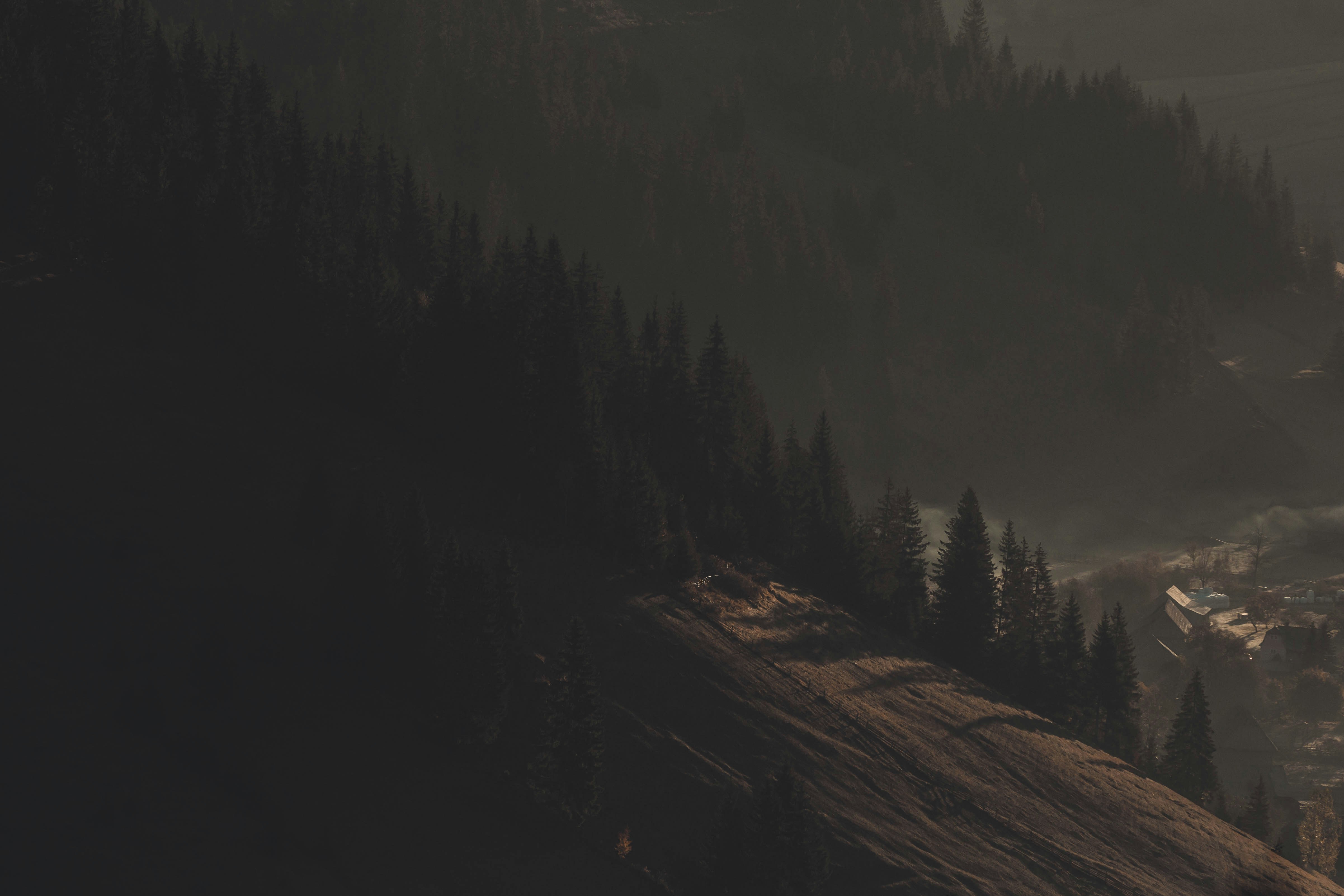 Dense forest casts deep shadows over a sunlit hillside in a misty valley.
