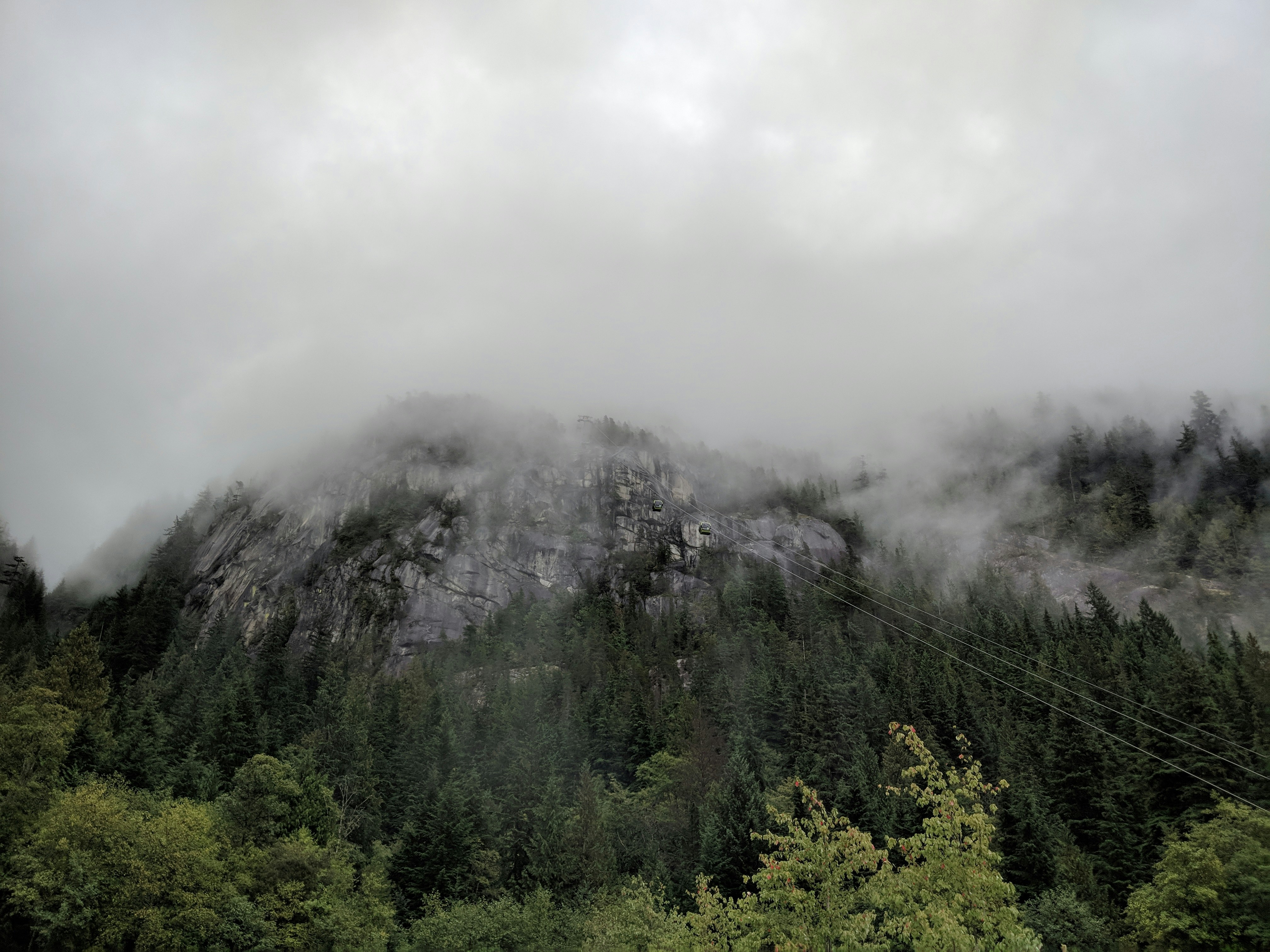 Misty mountains loom over a dense forest, shrouded in fog, evoking a sense of mystery and tranquility.