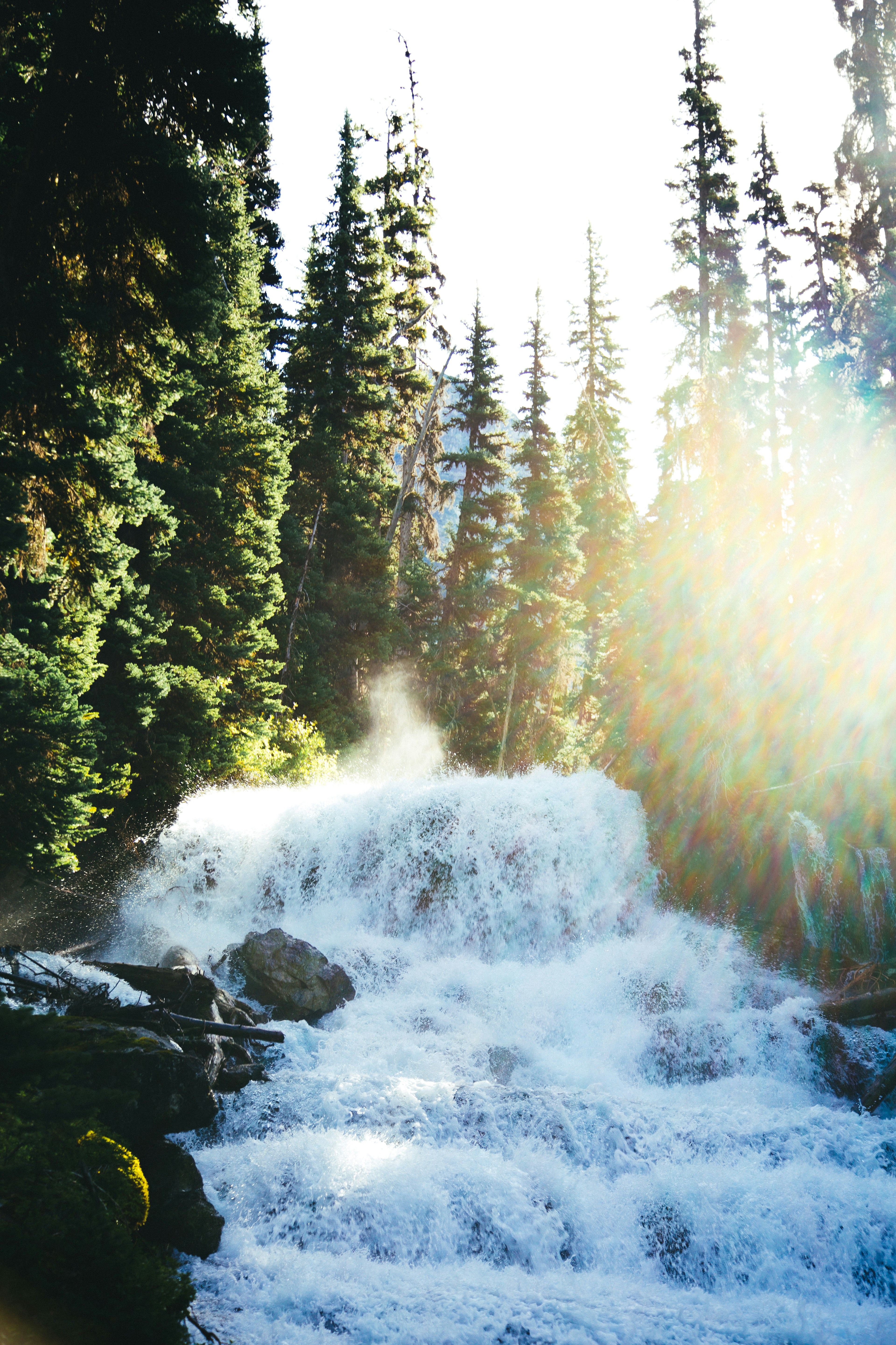 Whispers of the Cascading Waters