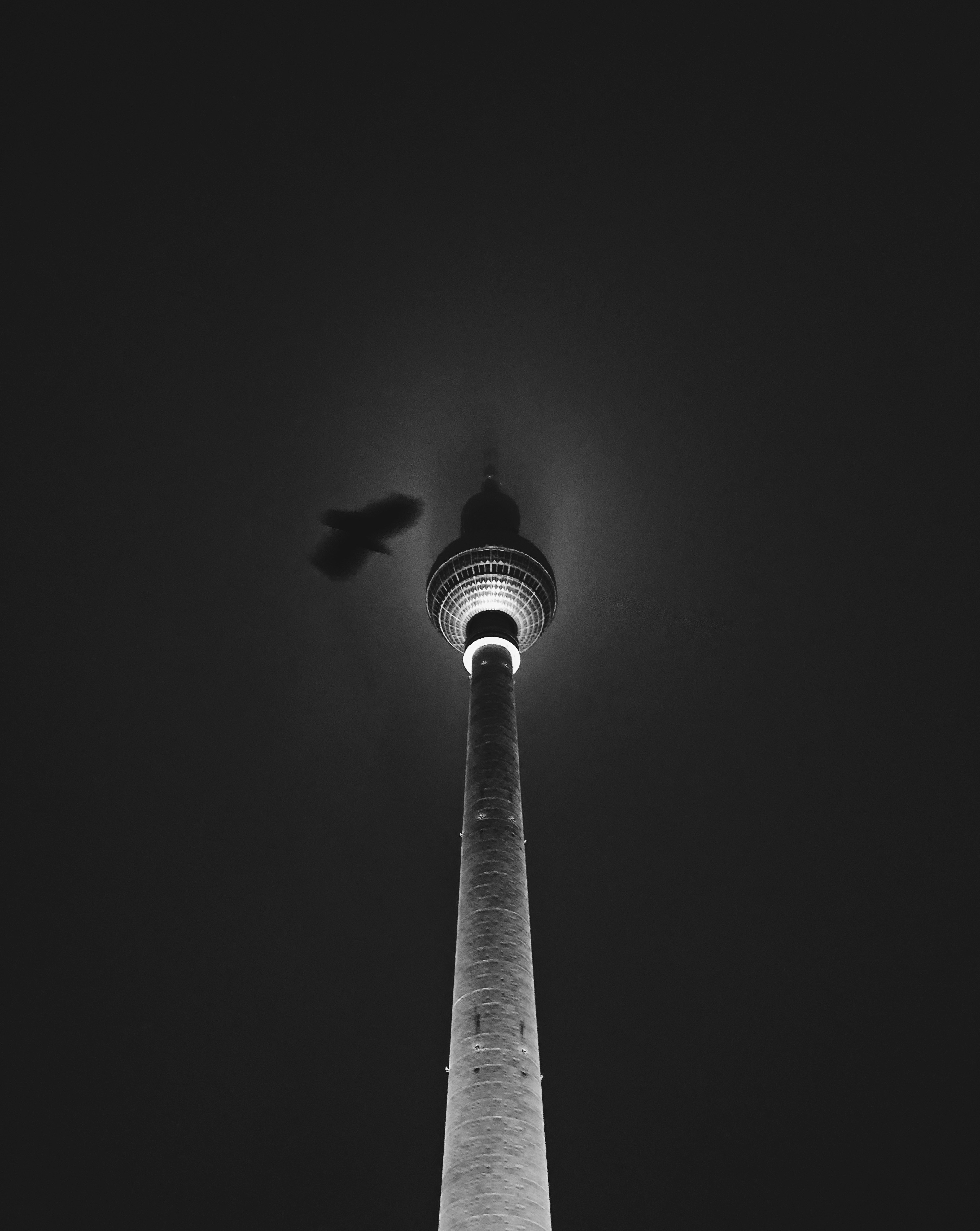 A towering structure looms in the fog, illuminated by a soft glow, with a bird soaring past in the foreground.