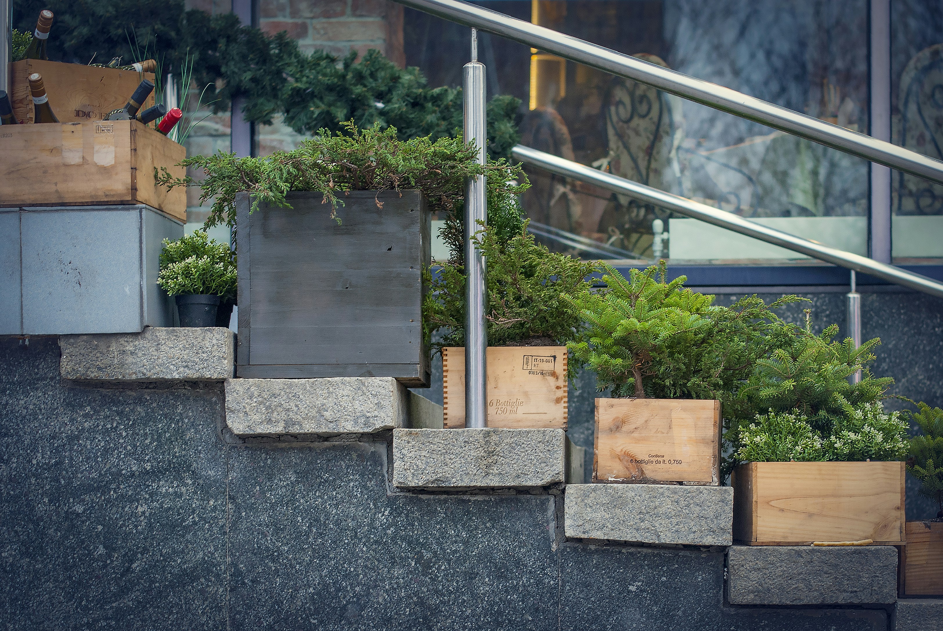 A series of potted plants arranged on stone steps, showcasing a blend of natural elements and urban architecture.