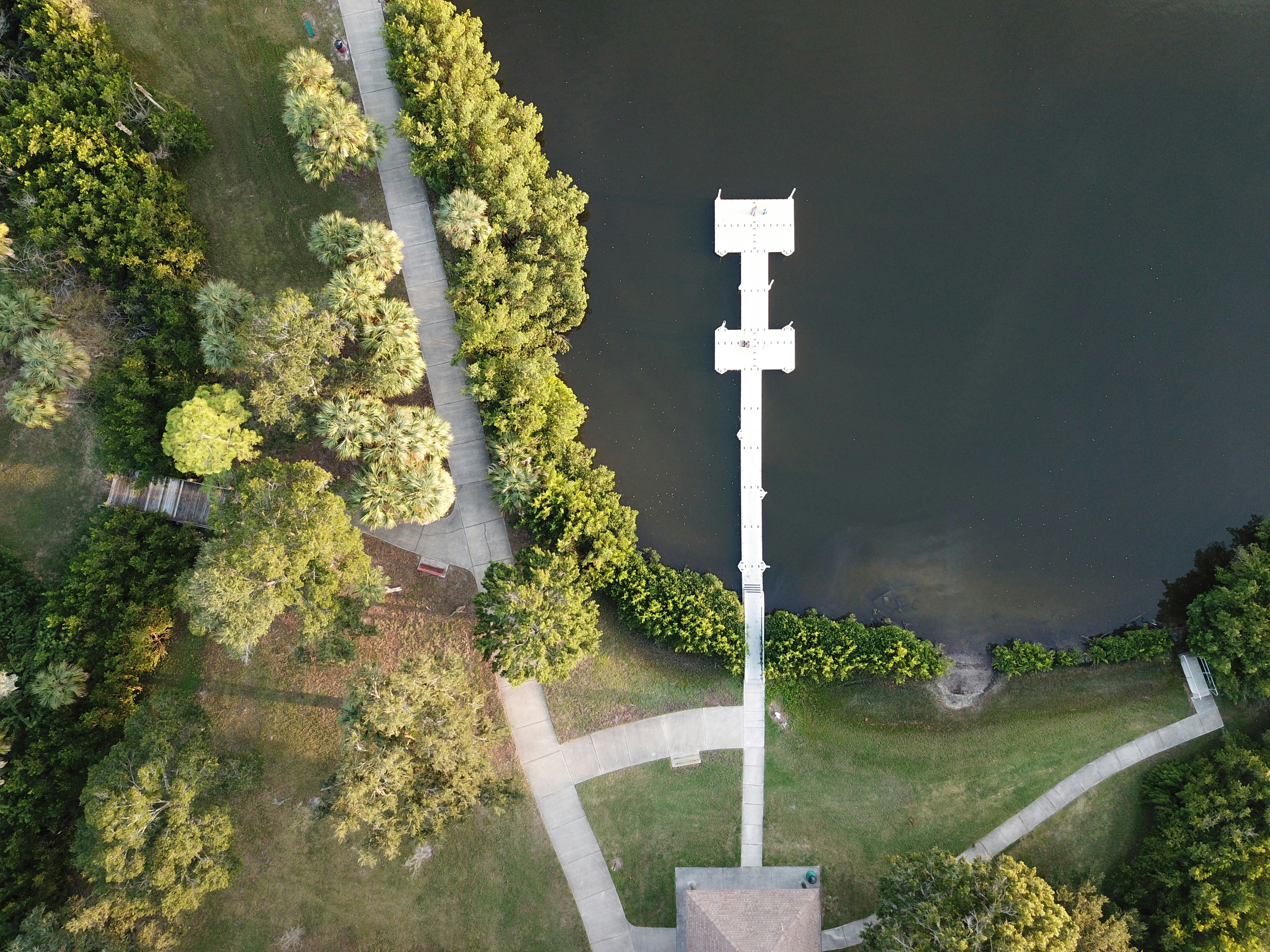Aerial view of a fishing pier extending into the calm waters of Tampa Bay, bordered by lush greenery and winding paths.