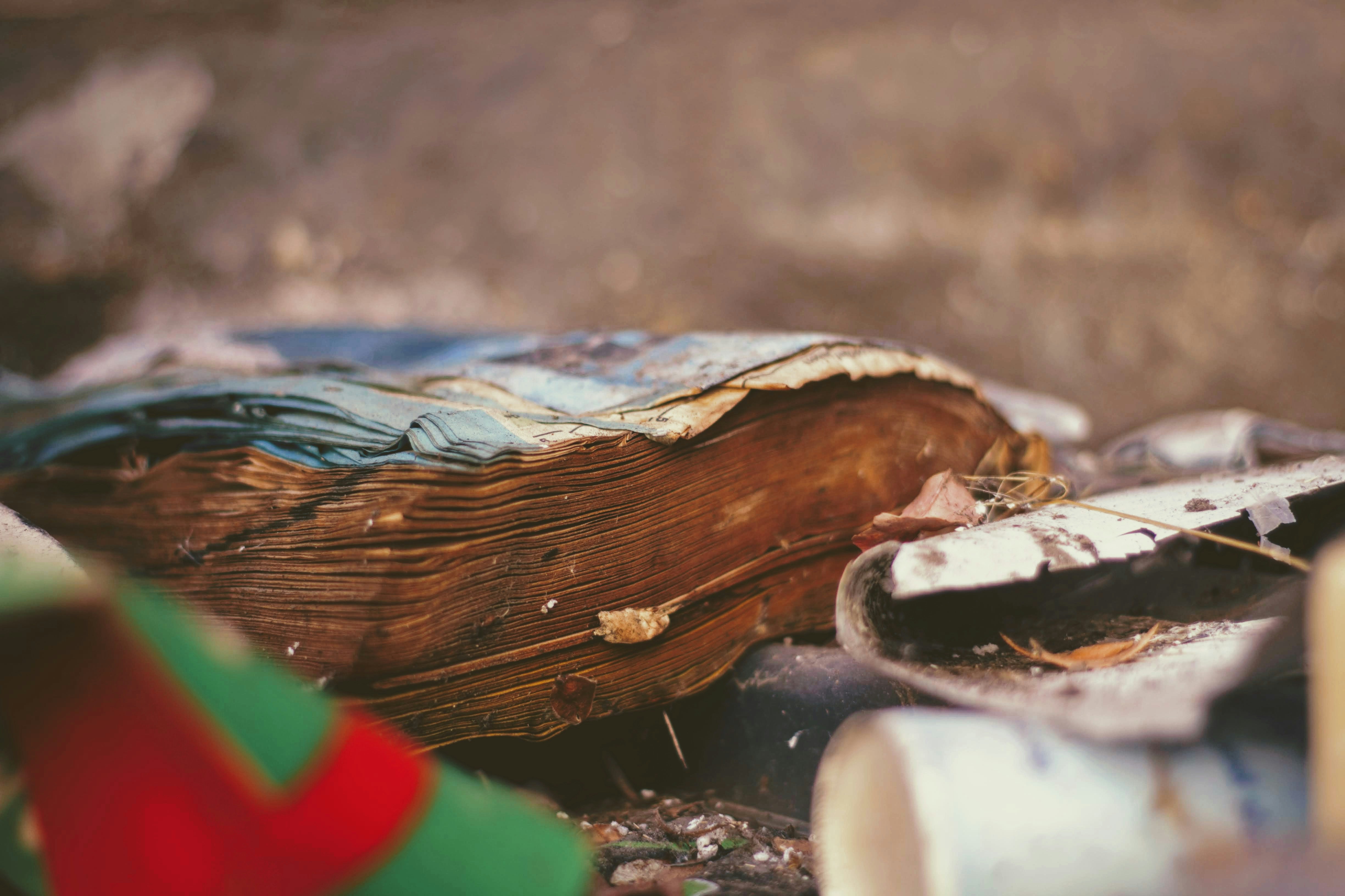 Rotting tome on a dusty battlefield of debris