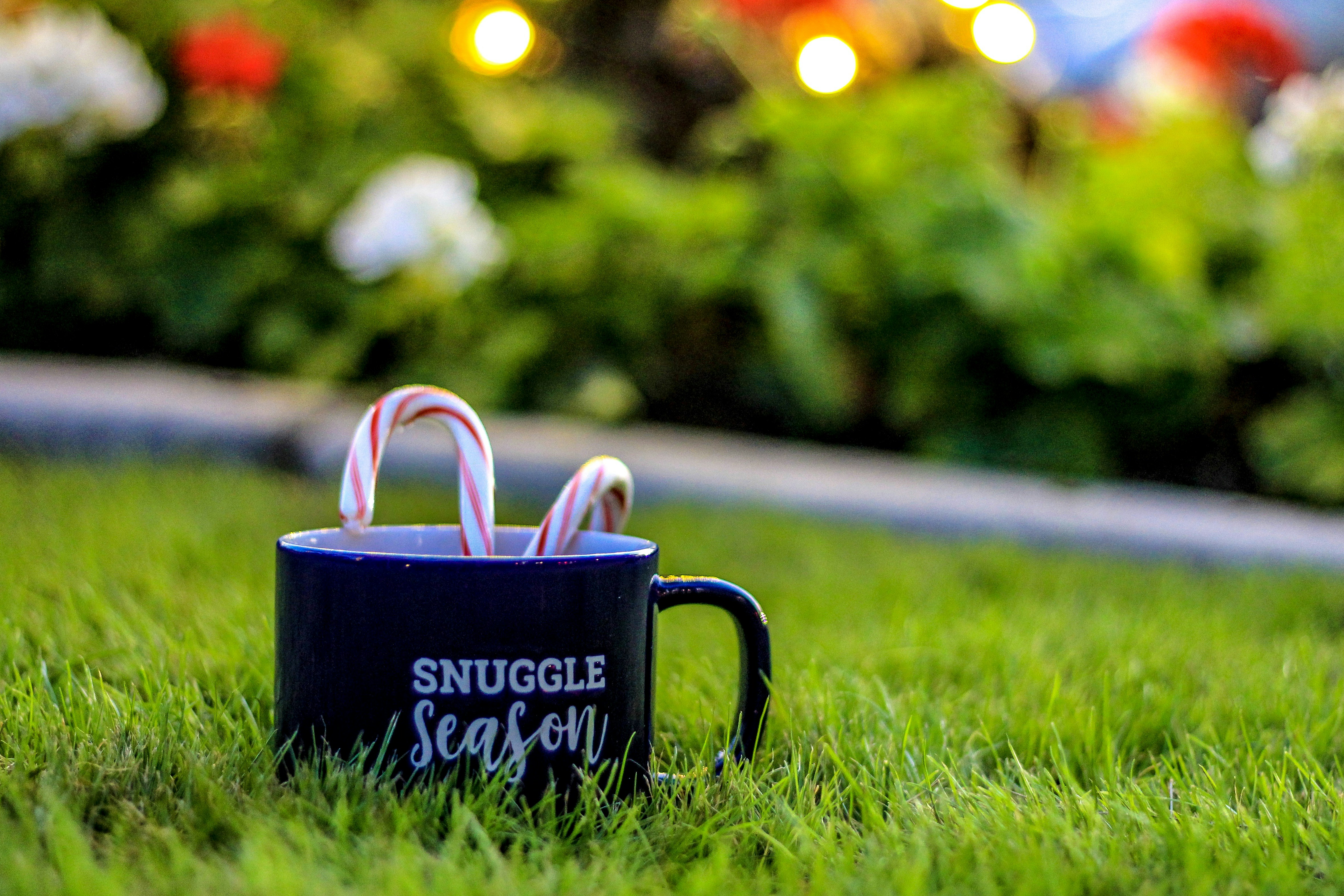 A Cozy Sip in the Morning Lawn