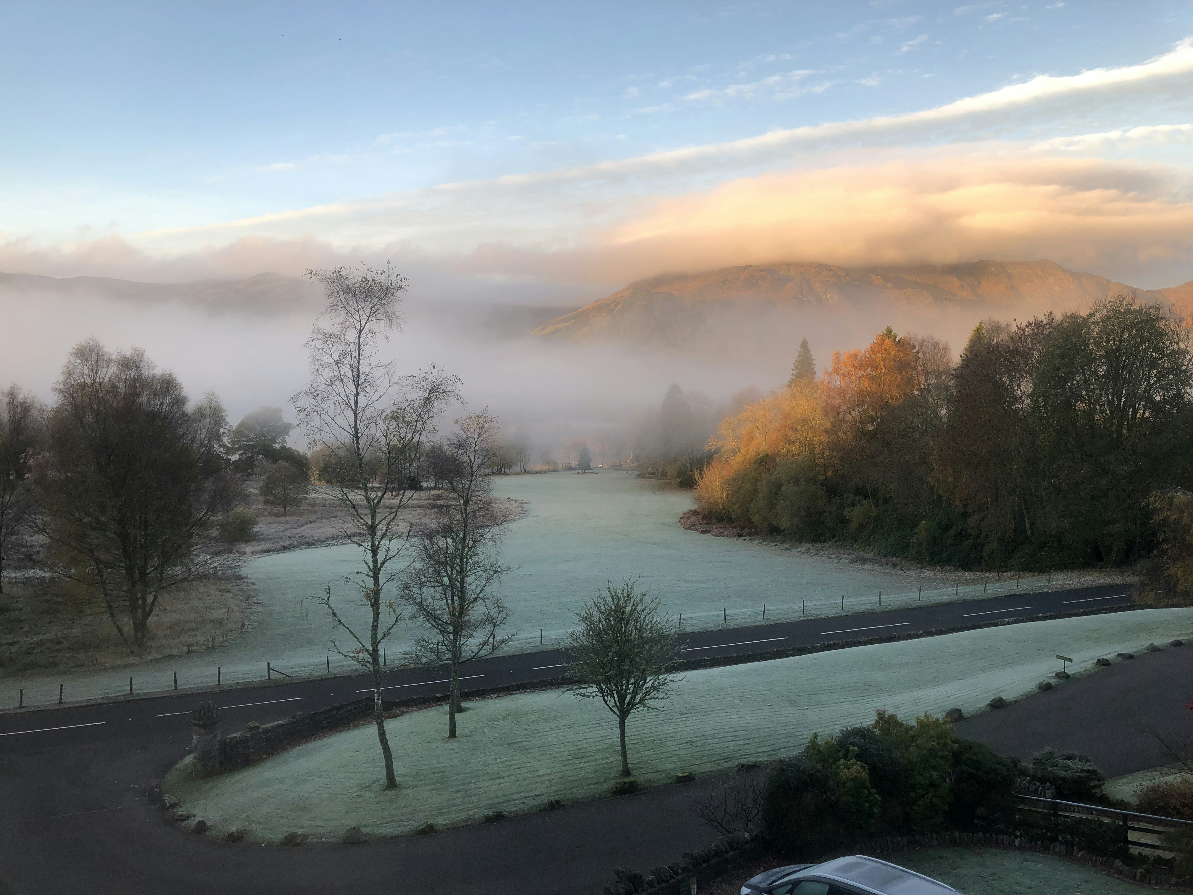 aerial photography of empty road and trees during daytime