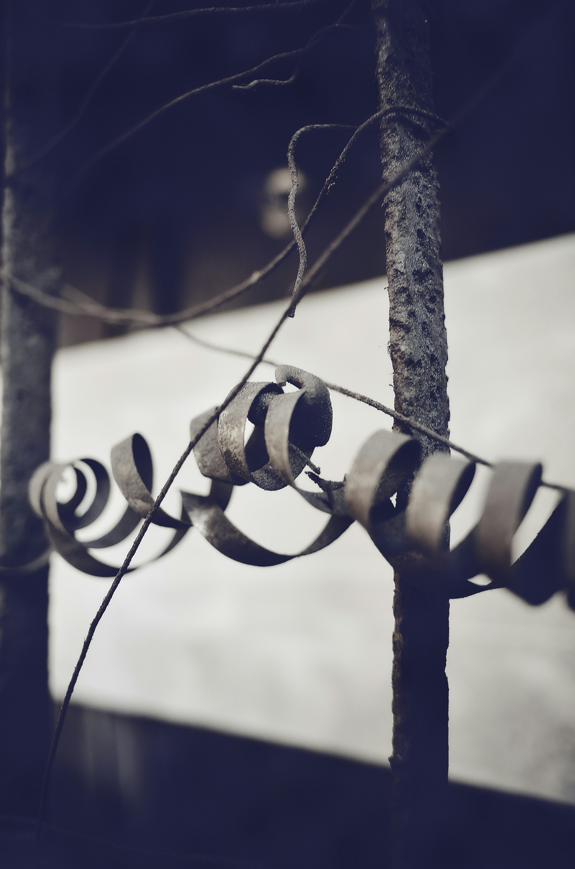 Gray metal wire photo – Free Grey Image on Unsplash