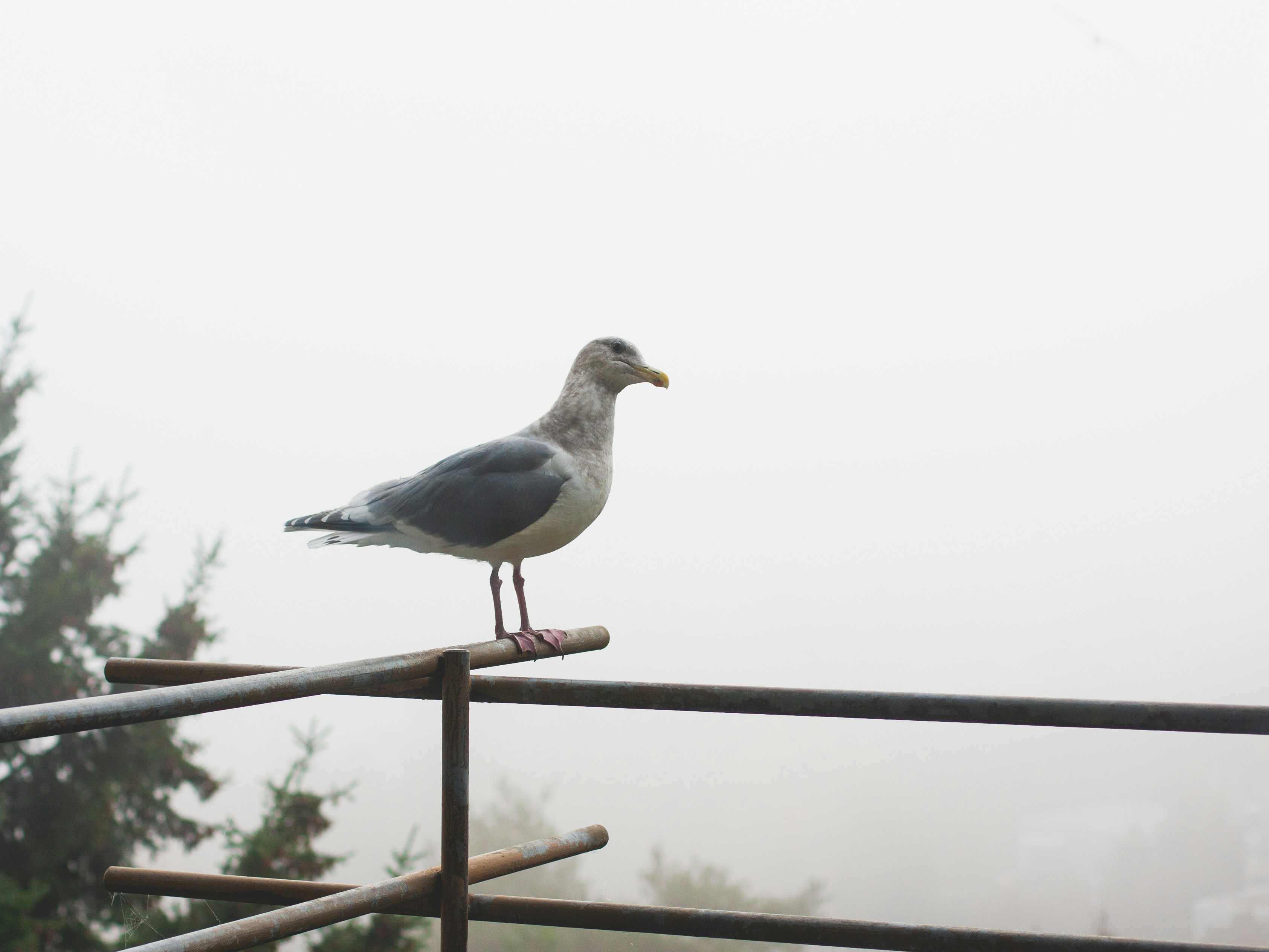 Photo by David Schultz with Canon EOS 40D