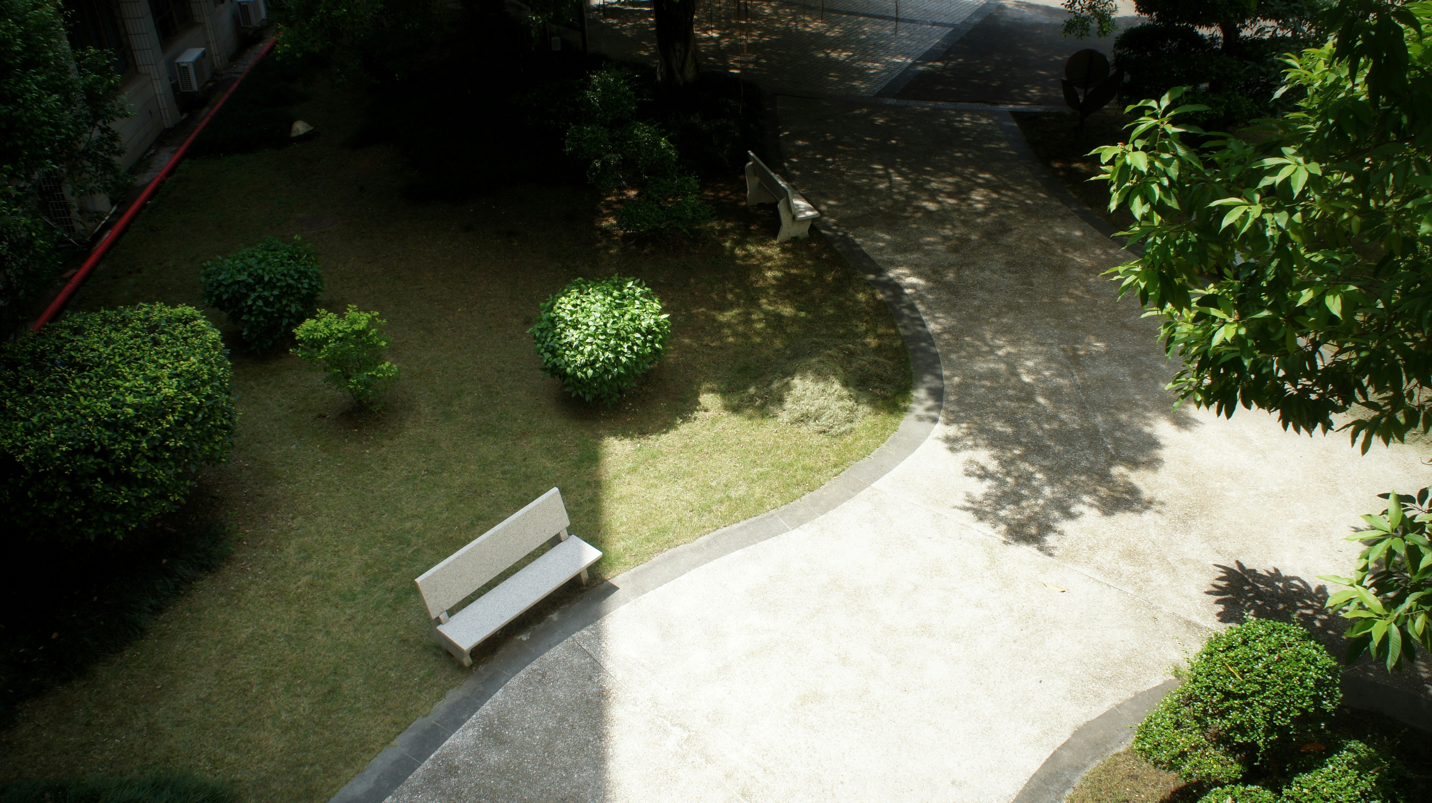 A tranquil garden scene featuring a winding pathway and a solitary bench surrounded by lush shrubs and trees. Sunlight dapples the ground, creating a peaceful atmosphere.