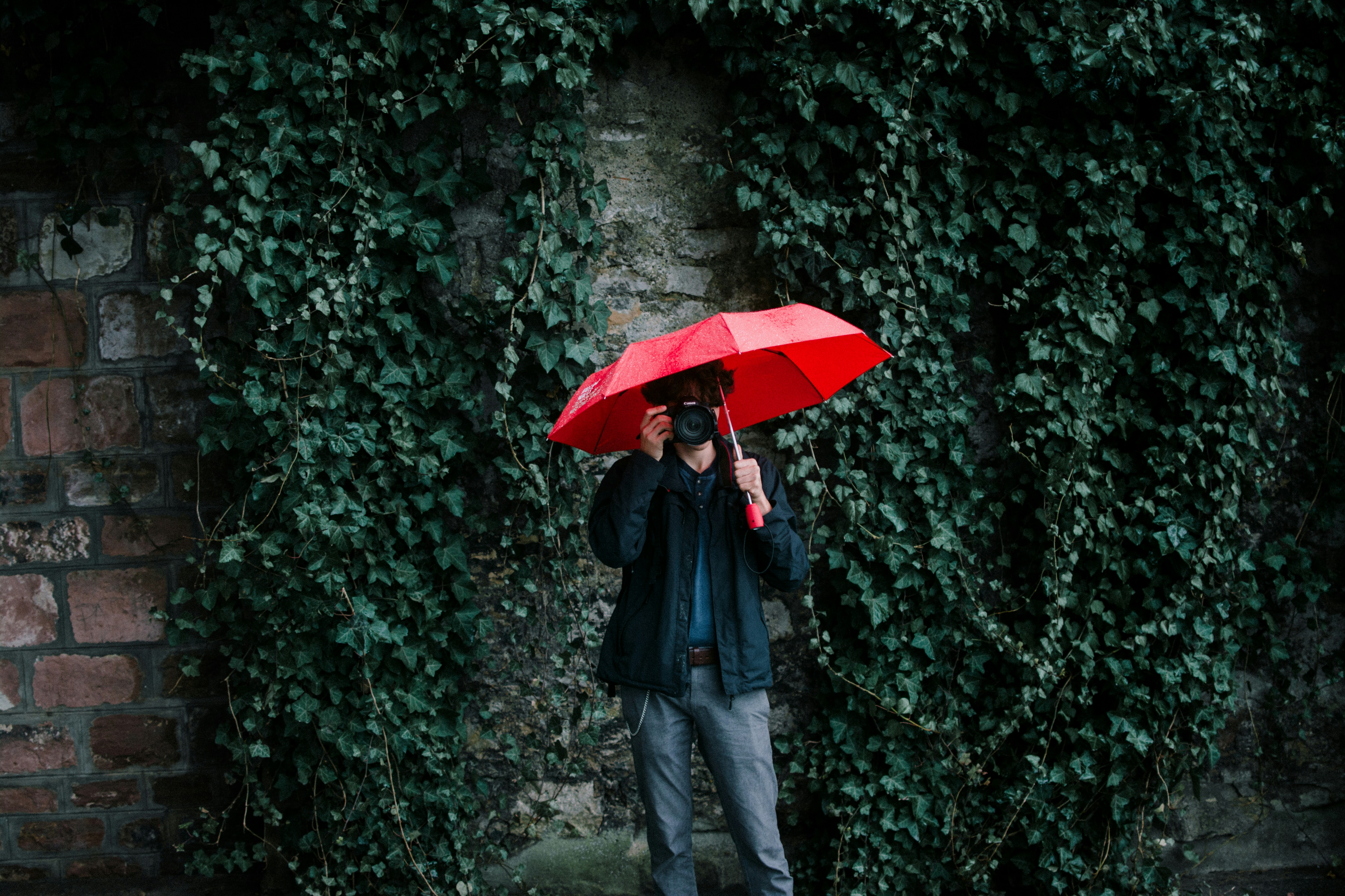 Individual holding a red umbrella stands against a backdrop of ivy-covered stone wall, creating a striking contrast. The scene captures a moment of urban solitude.