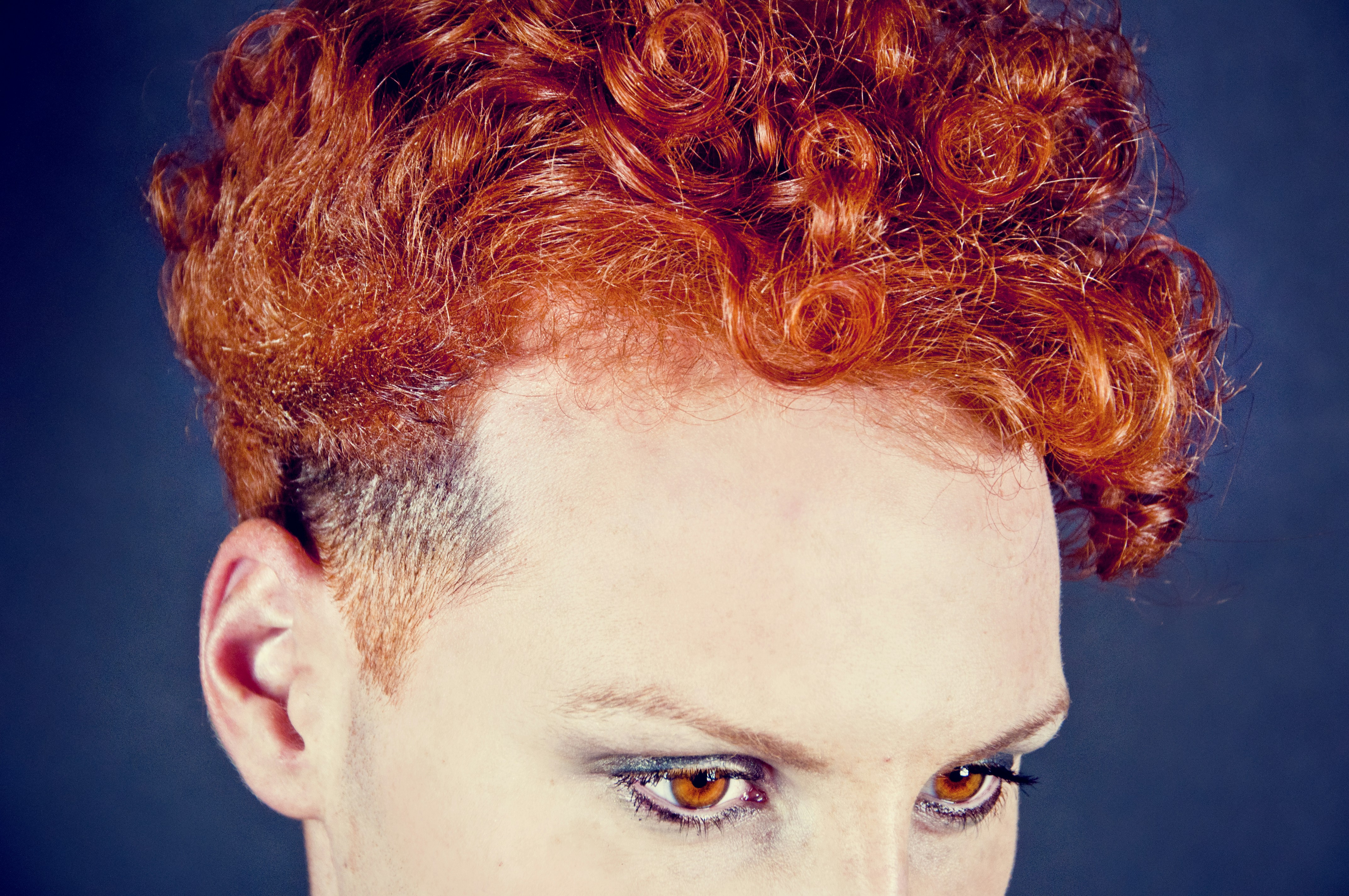 Cropped Spotlight: Red curled crown above a pale gaze