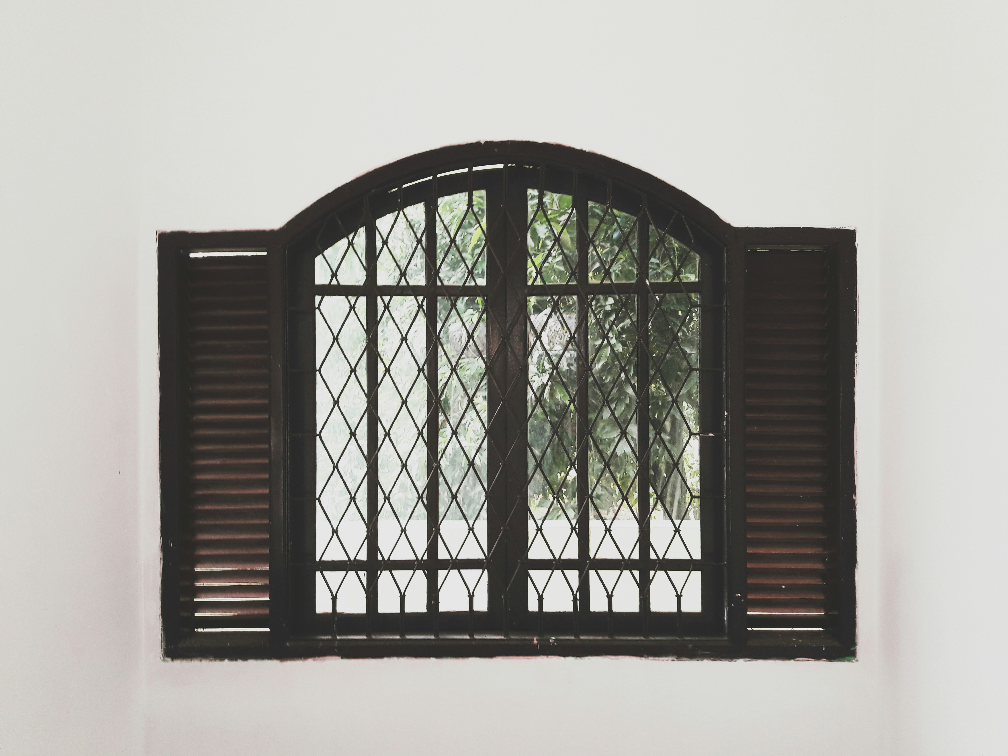 Ornate window with diamond-patterned grilles and wooden shutters, revealing blurred greenery beyond.