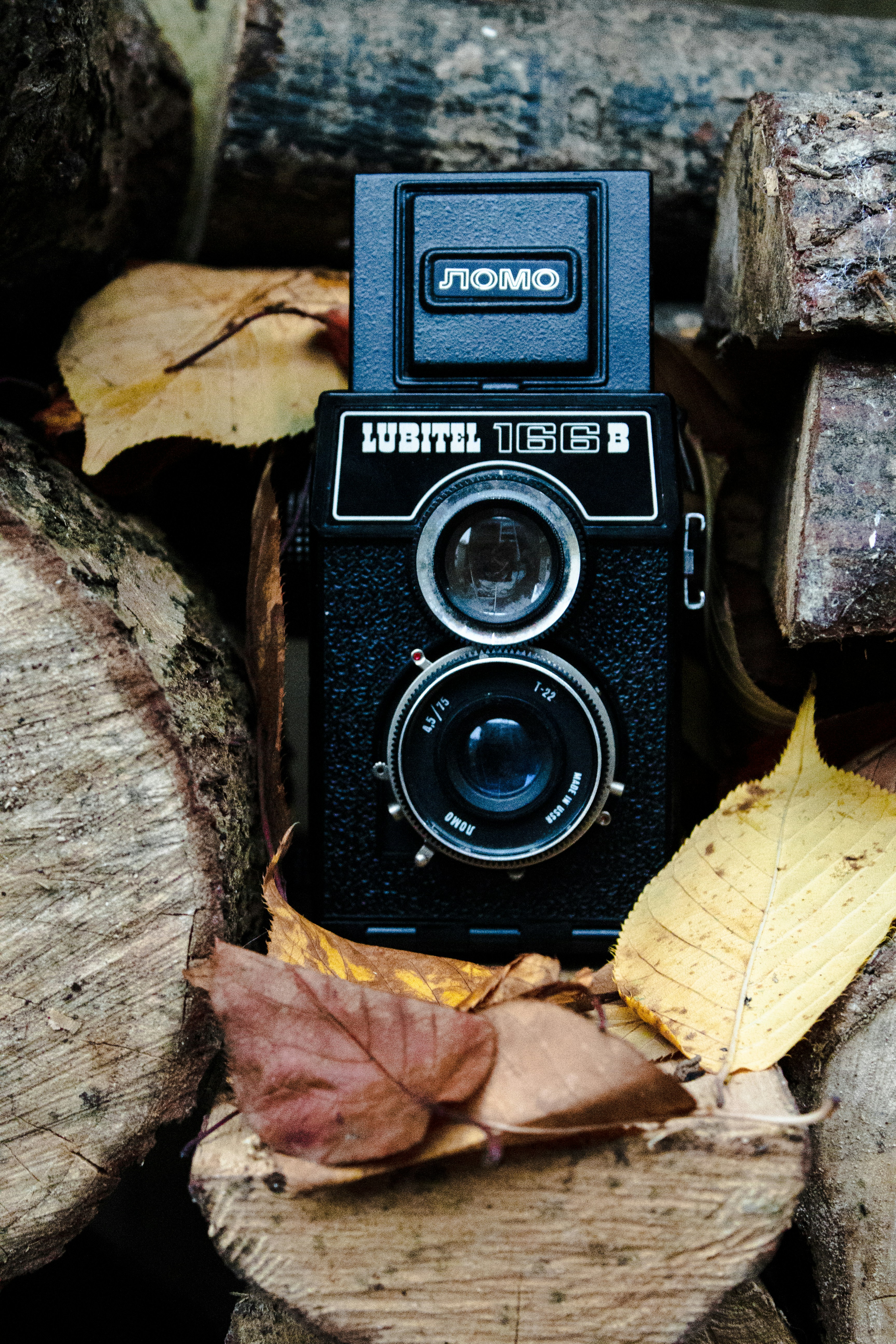 Lost in Time: A Vintage Lomo Sits Among Autumn Logs