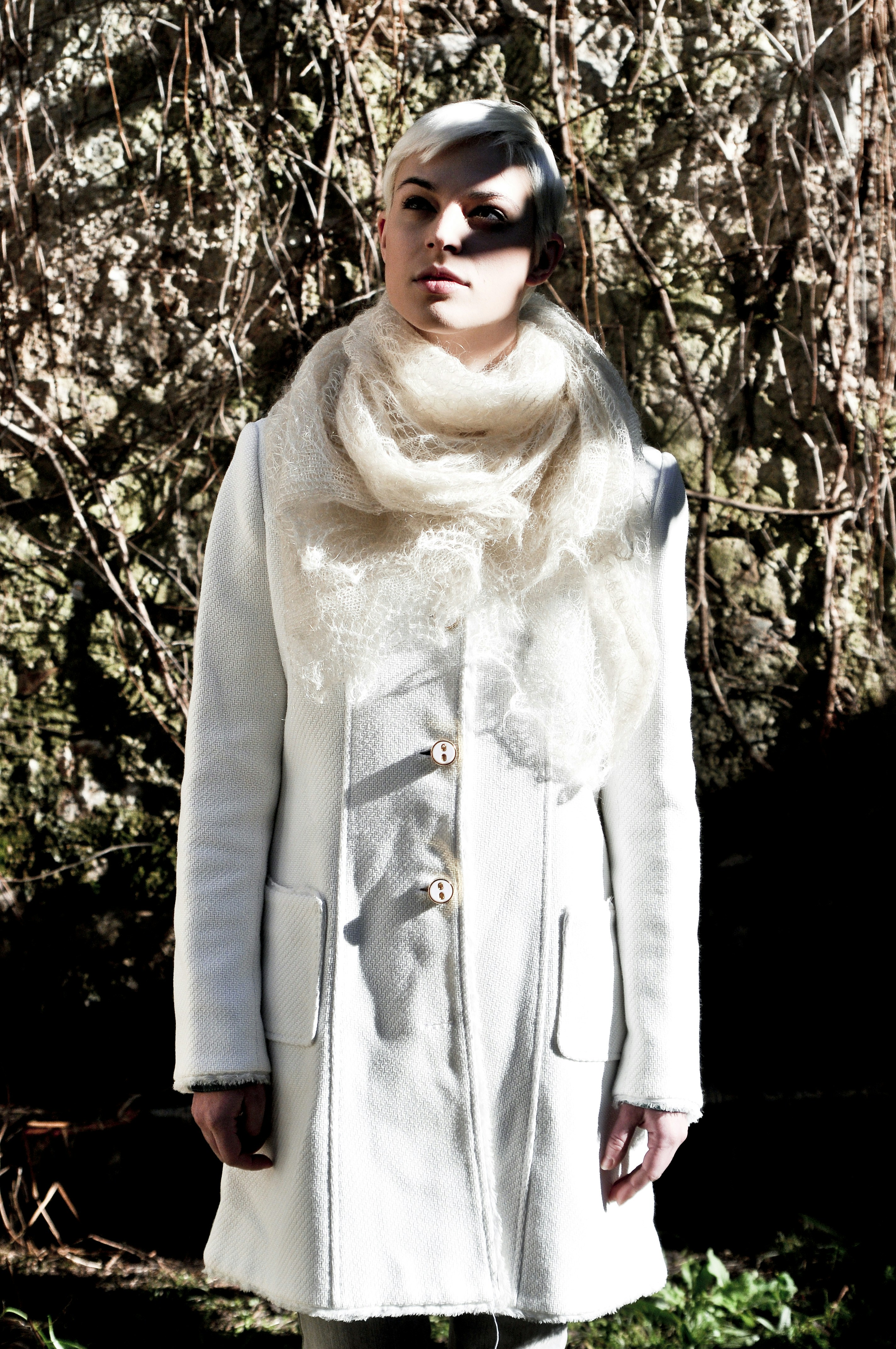 Ivory in Sunlight: A Quiet Portrait Amid Twining Shadows