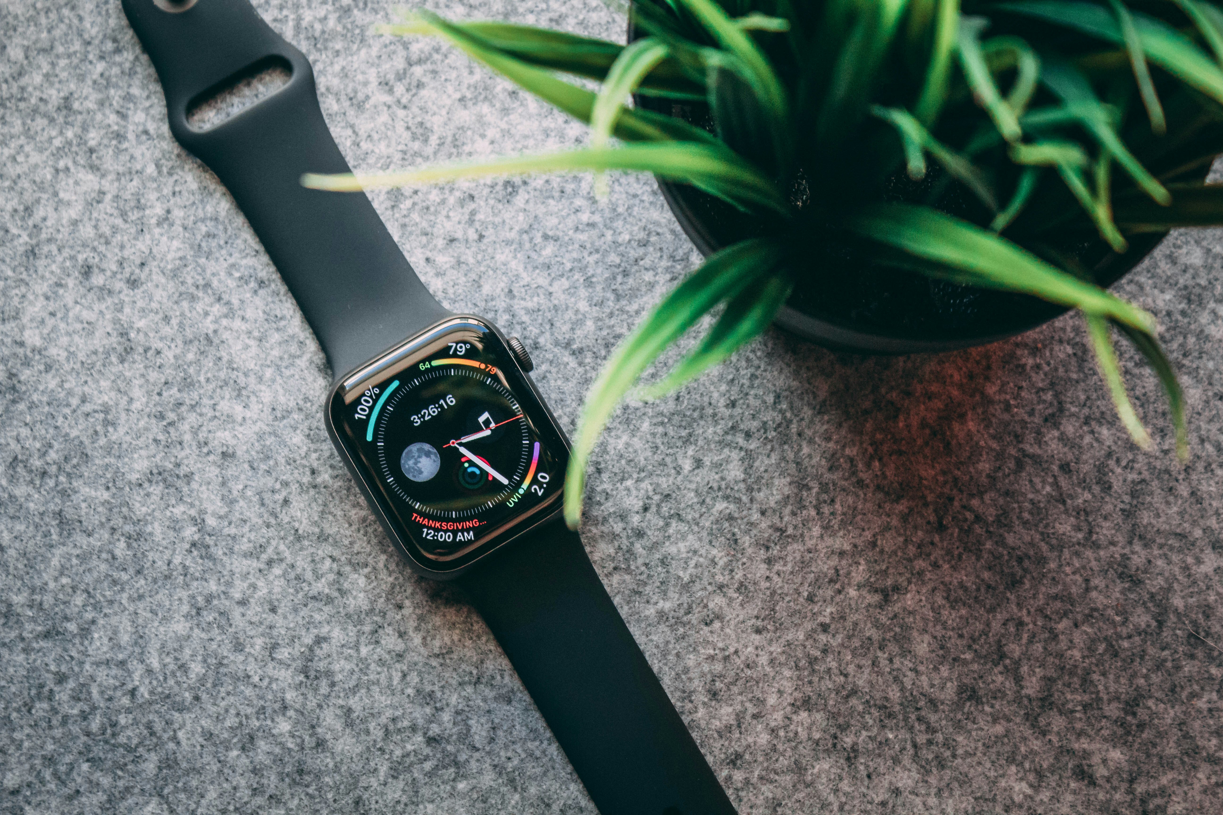 Space black stainless steel Apple Watch with Sport Band next to a vibrant green plant on a textured surface.