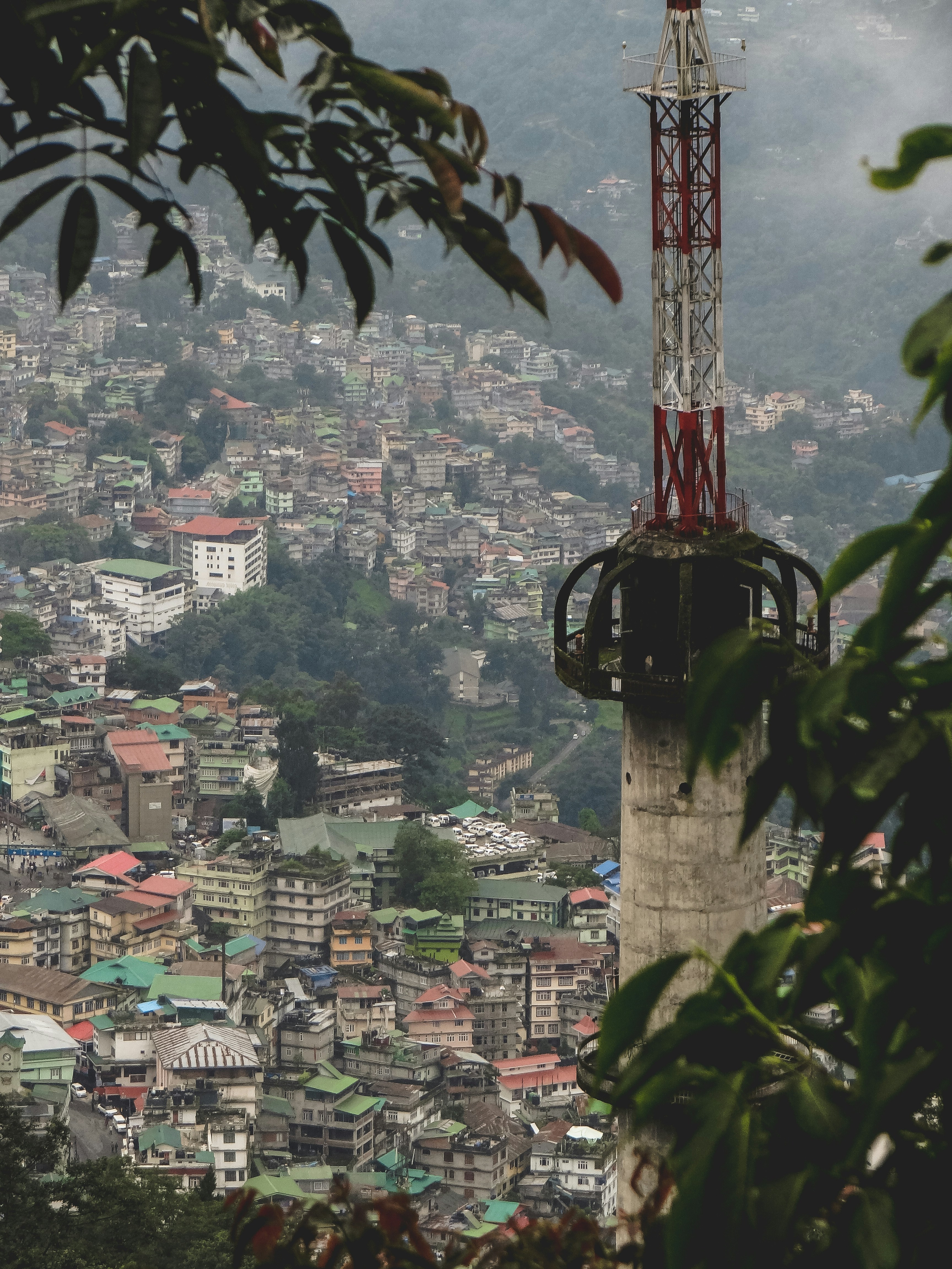 Hillside cityscape of densely packed, colorfully painted houses on terraced slopes, anchored by a bold red-and-white communications tower; foreground leaves frame the scene. Photograph.