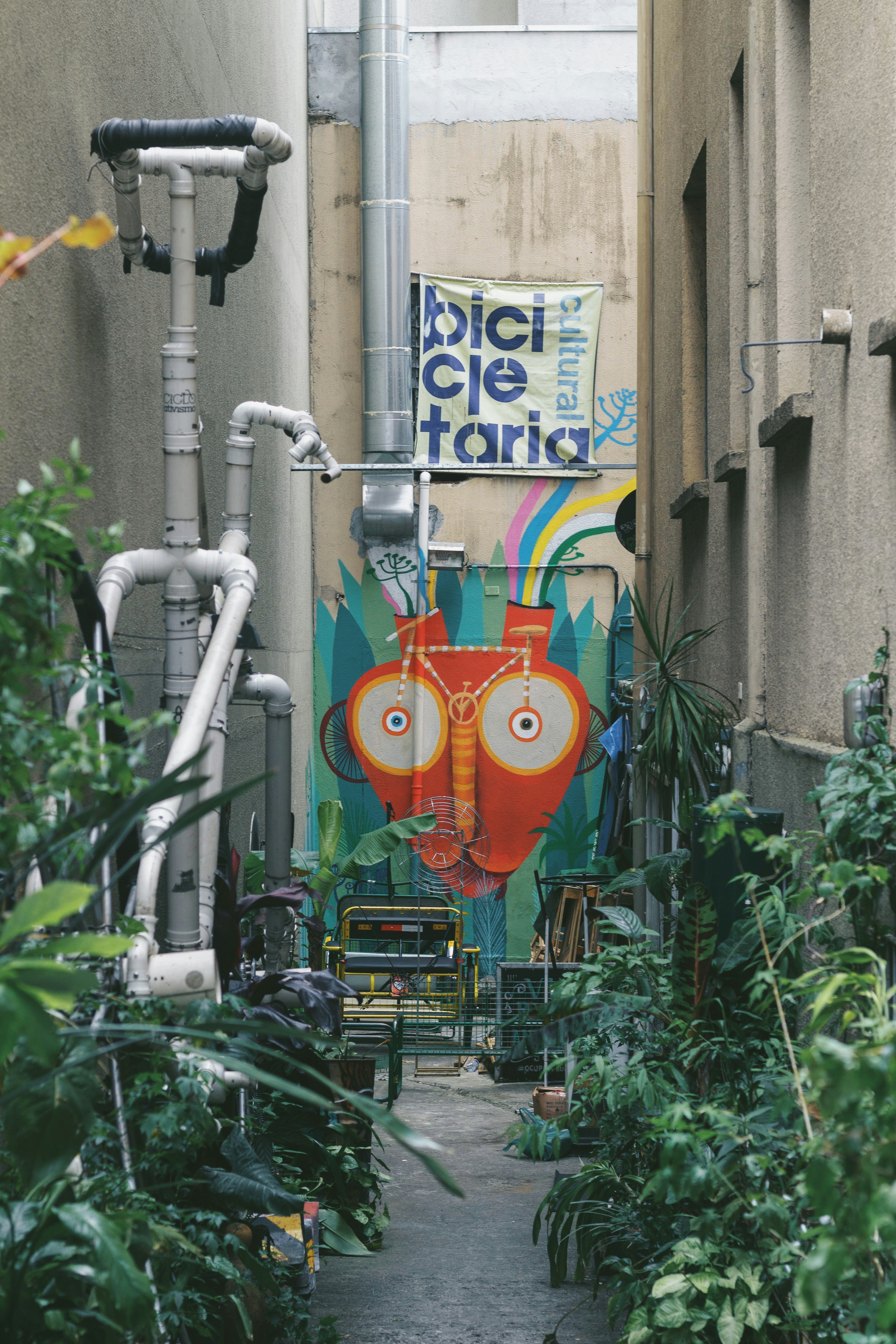 Bicicletaria | green and orange wall decor