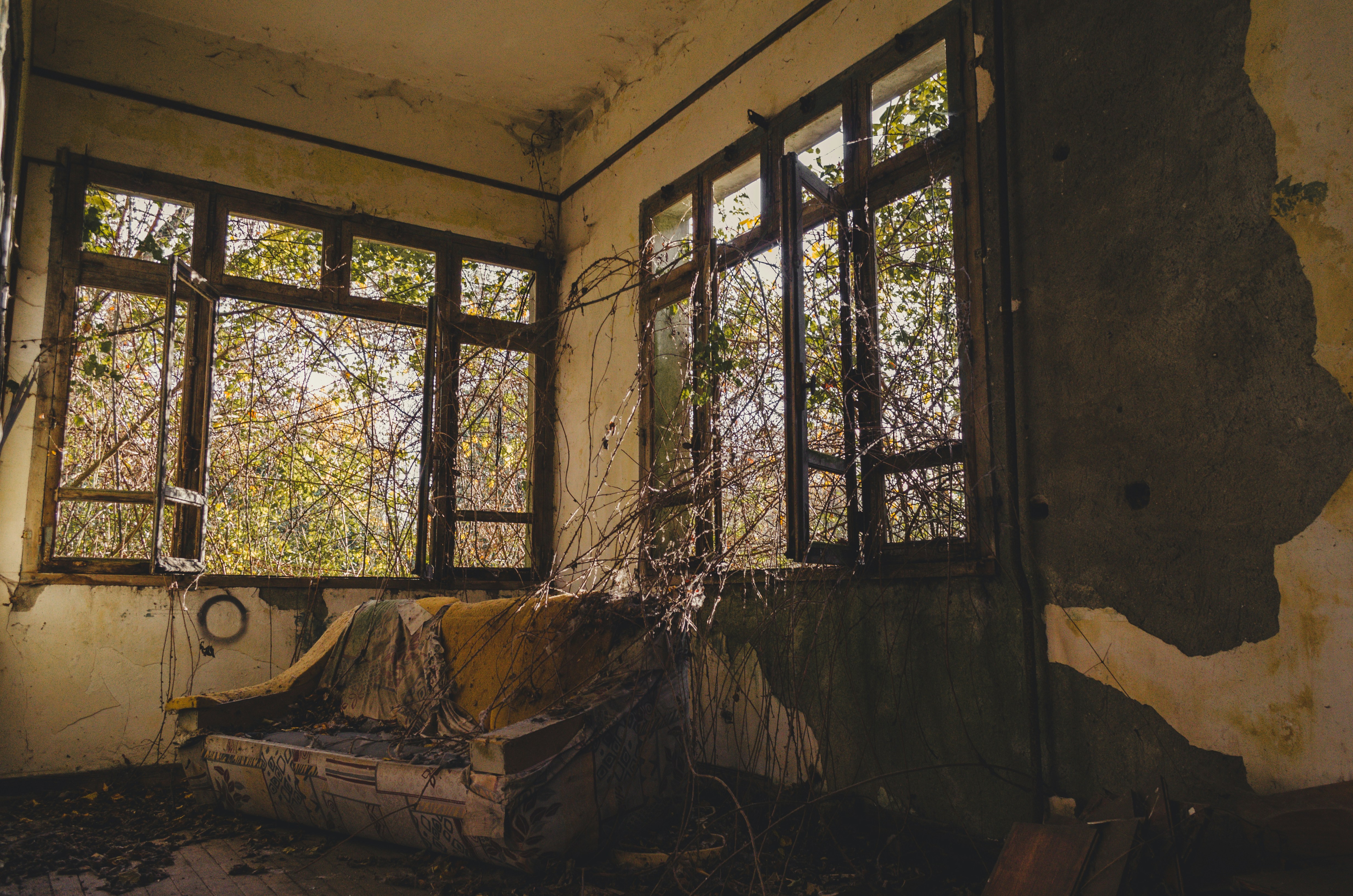 An abandoned room overtaken by nature, featuring a worn-out sofa and windows framed by creeping vines. Sunlight filters through the foliage, illuminating the decay.