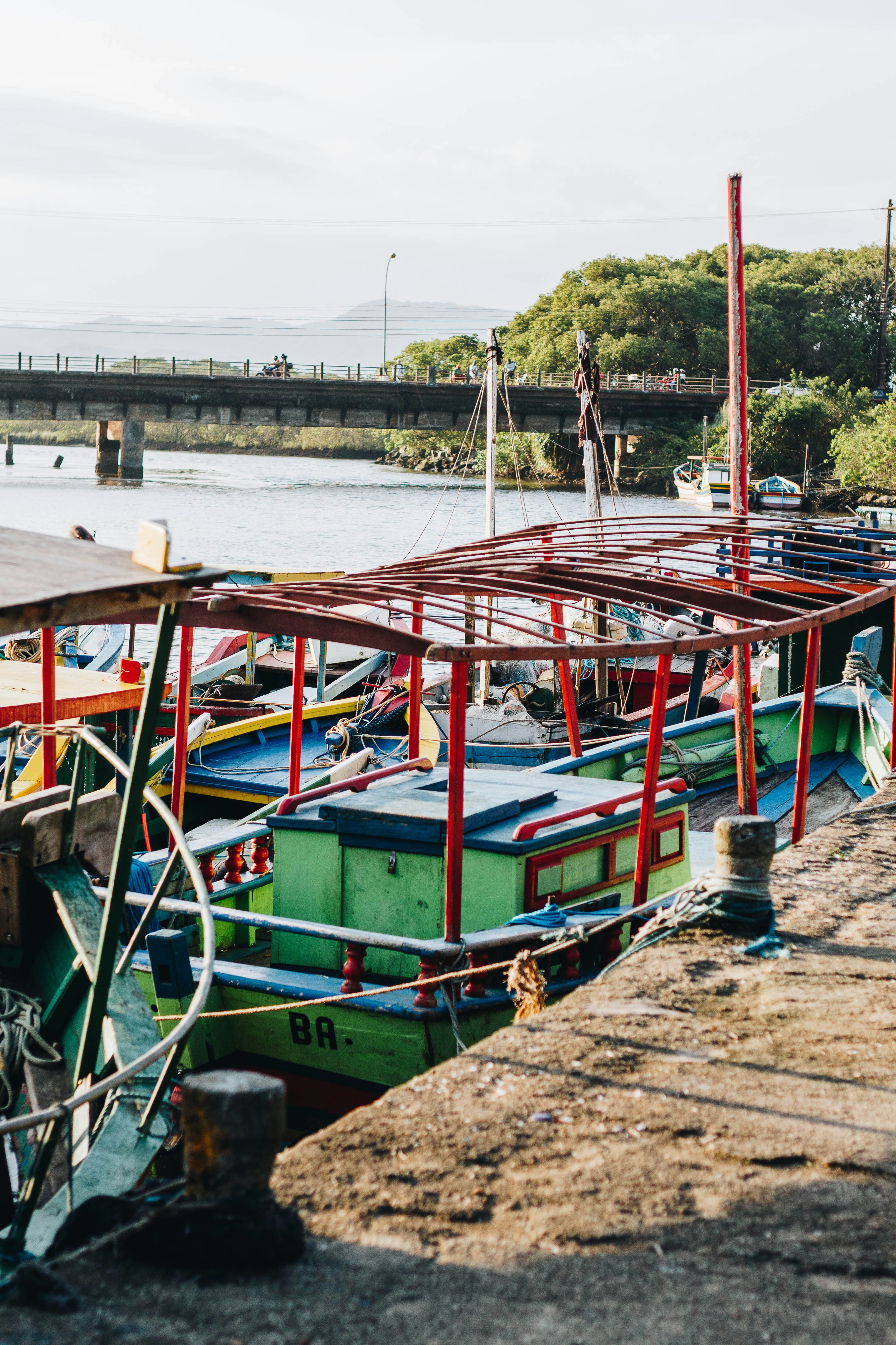 Harbor Harmony: A Vibrant Tapestry of Boats and Nature