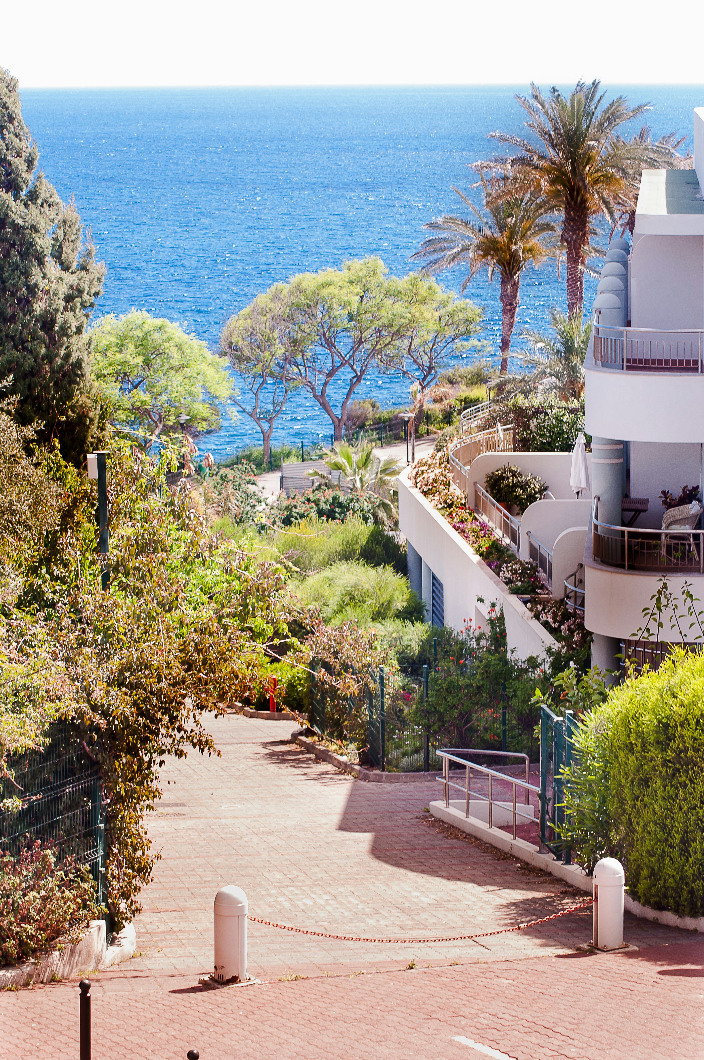 Green-leafed trees photo – Free Banister Image on Unsplash