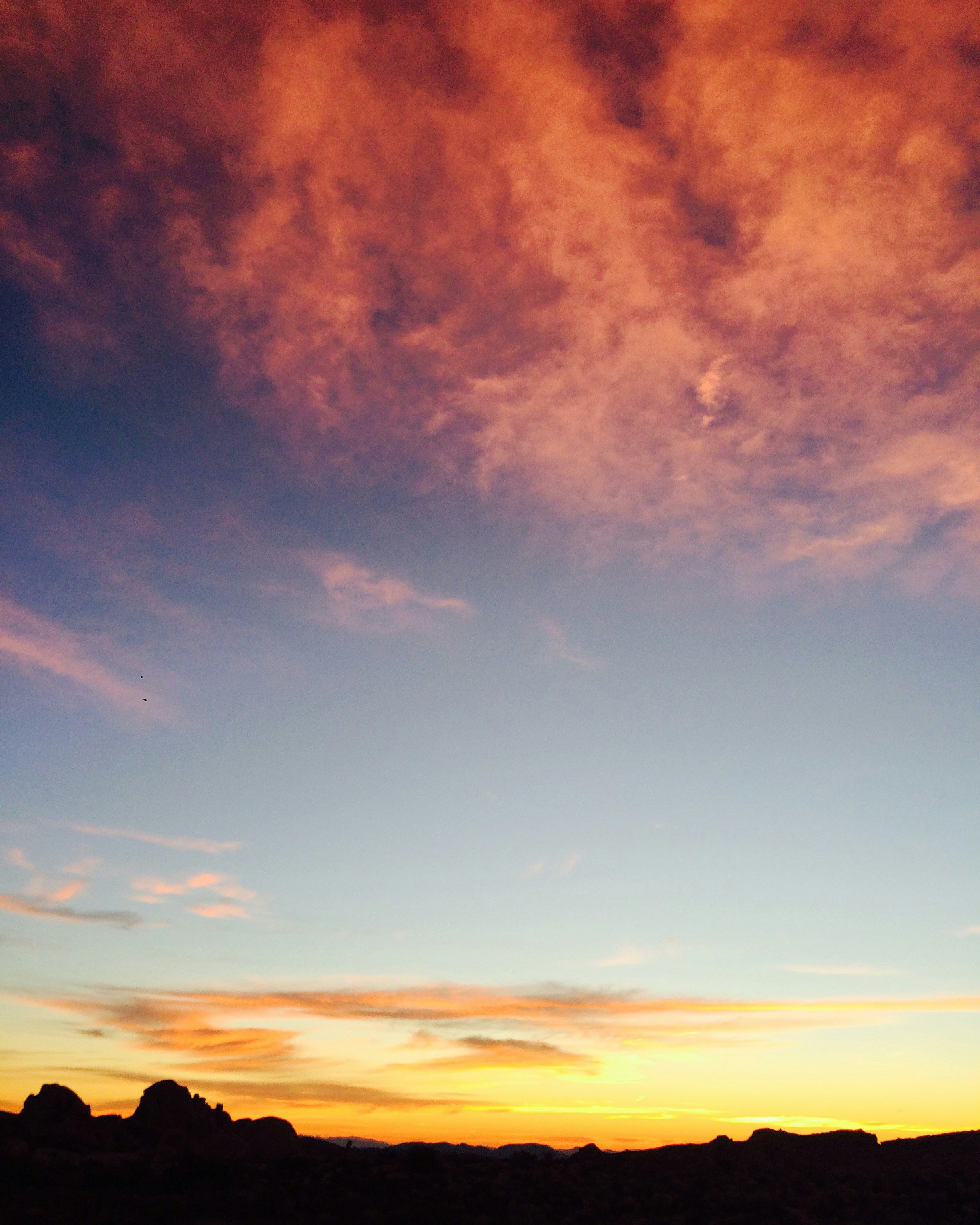 Blake Stewart (@blake_stew) | Unsplash Photo Community