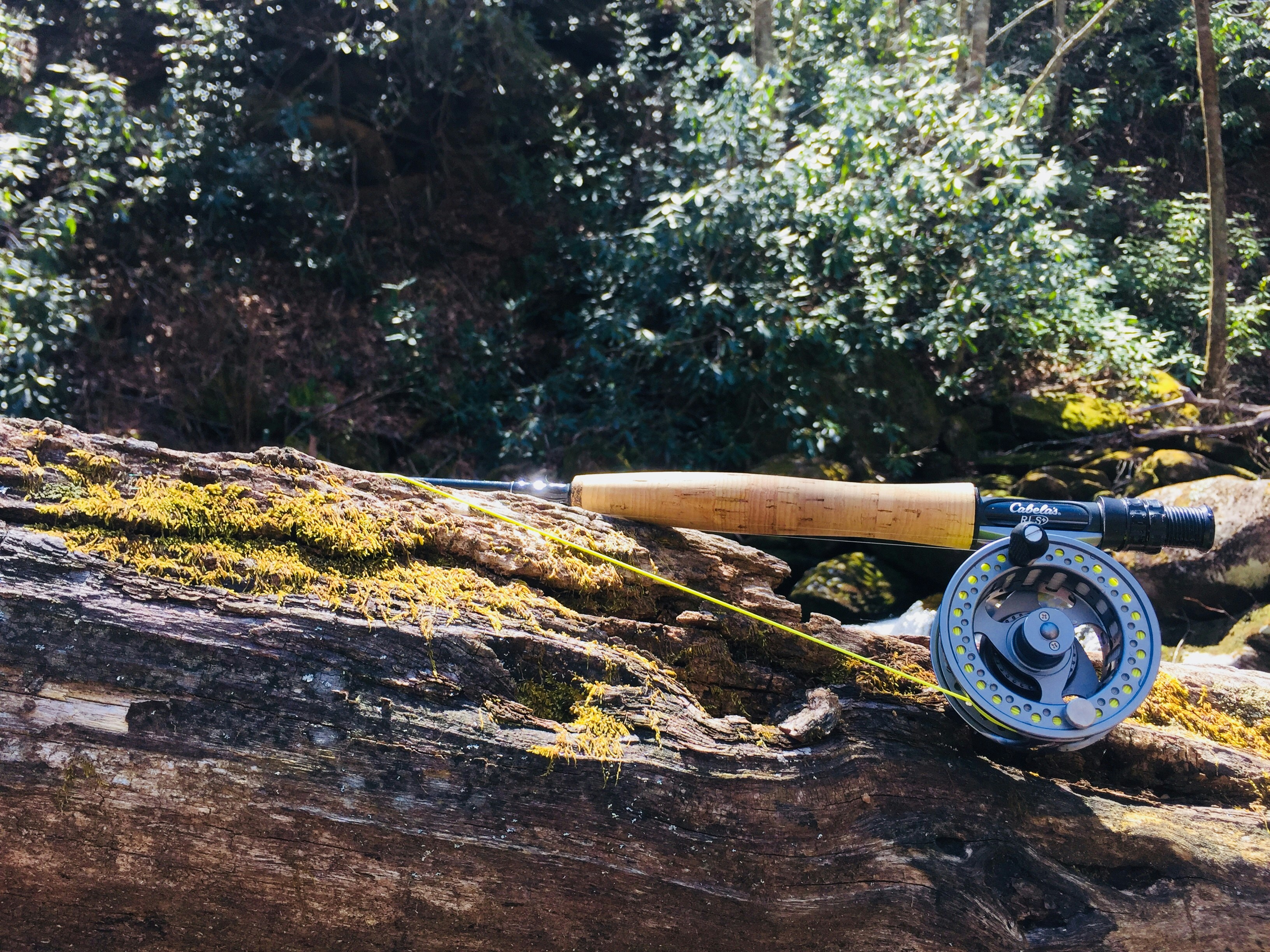 Brown and black fishing rod with fly reel photo – Free Moss Image on ...