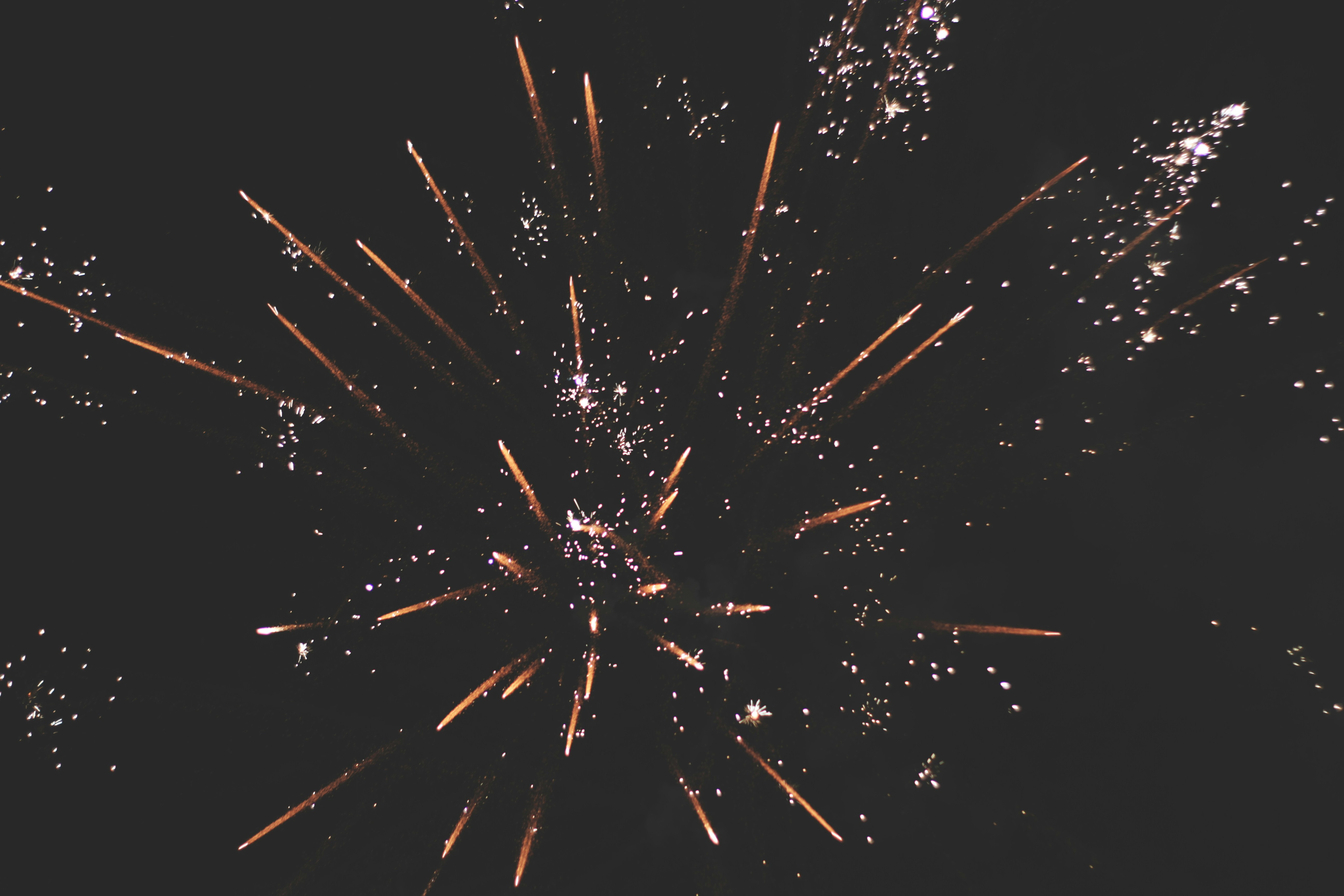 Multicolored fireworks display photo – Free Night Image on Unsplash
