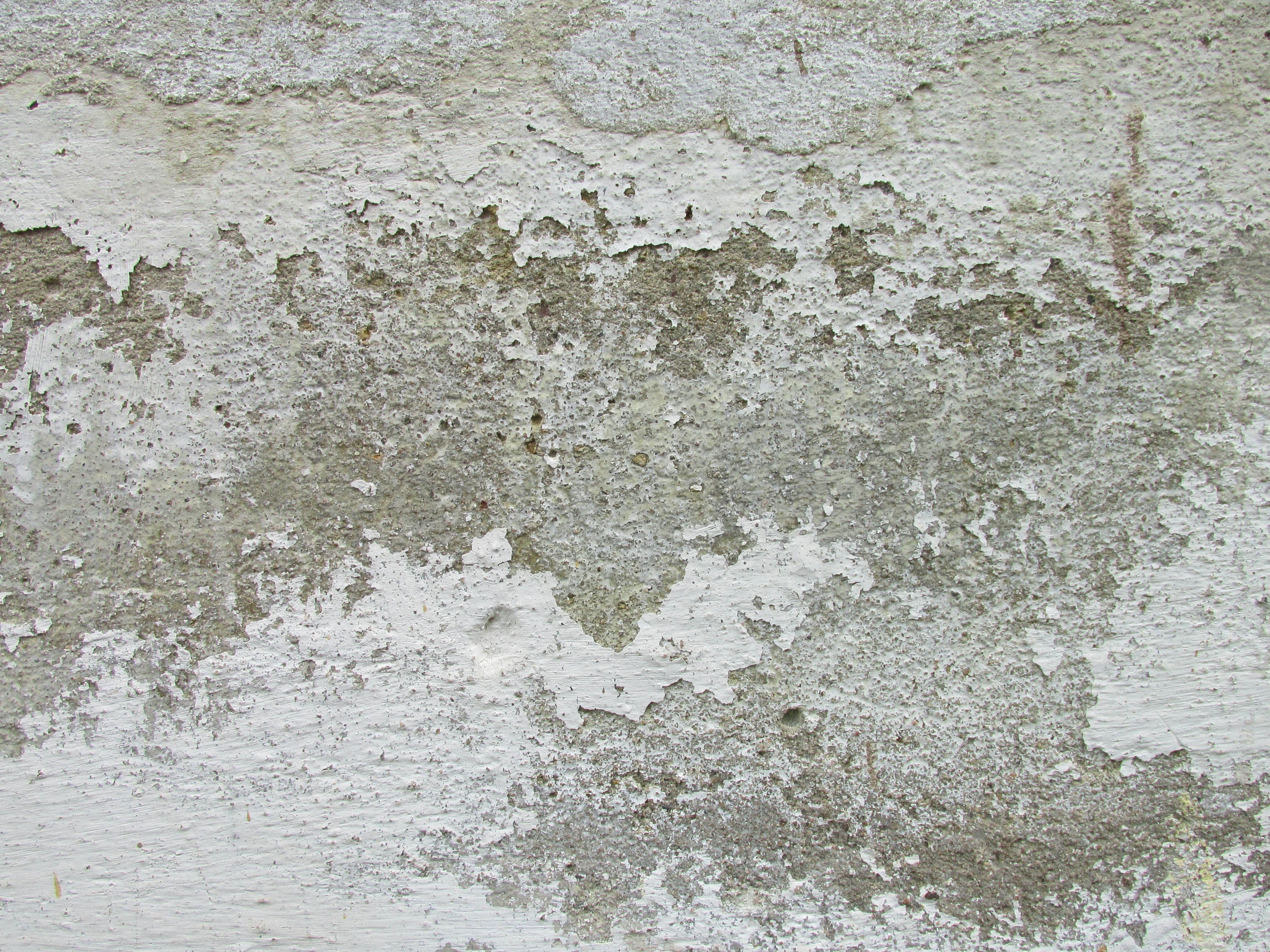 white and brown area rug