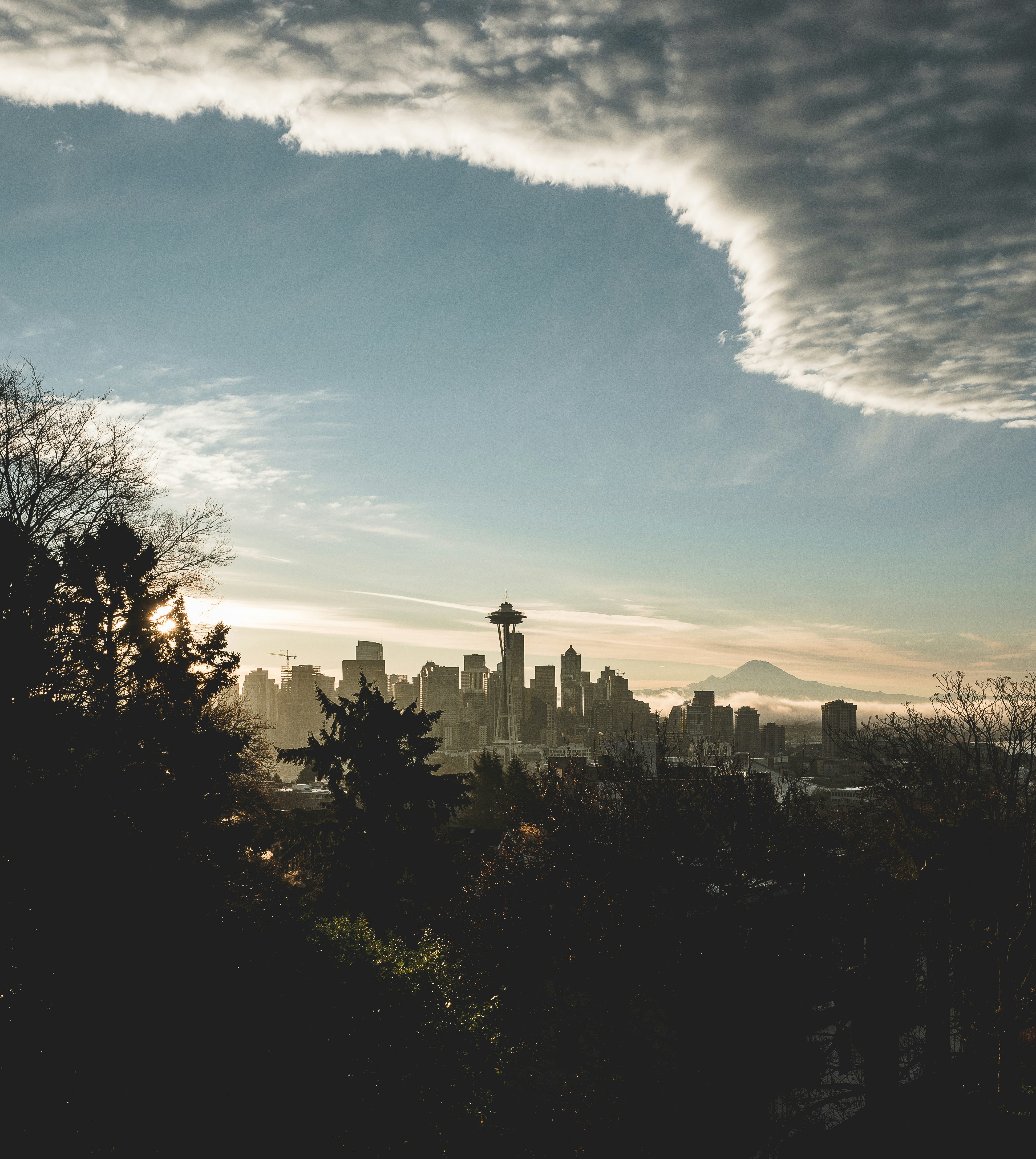 Seattle Twilight: Space Needle Emerges from the Forested Horizon