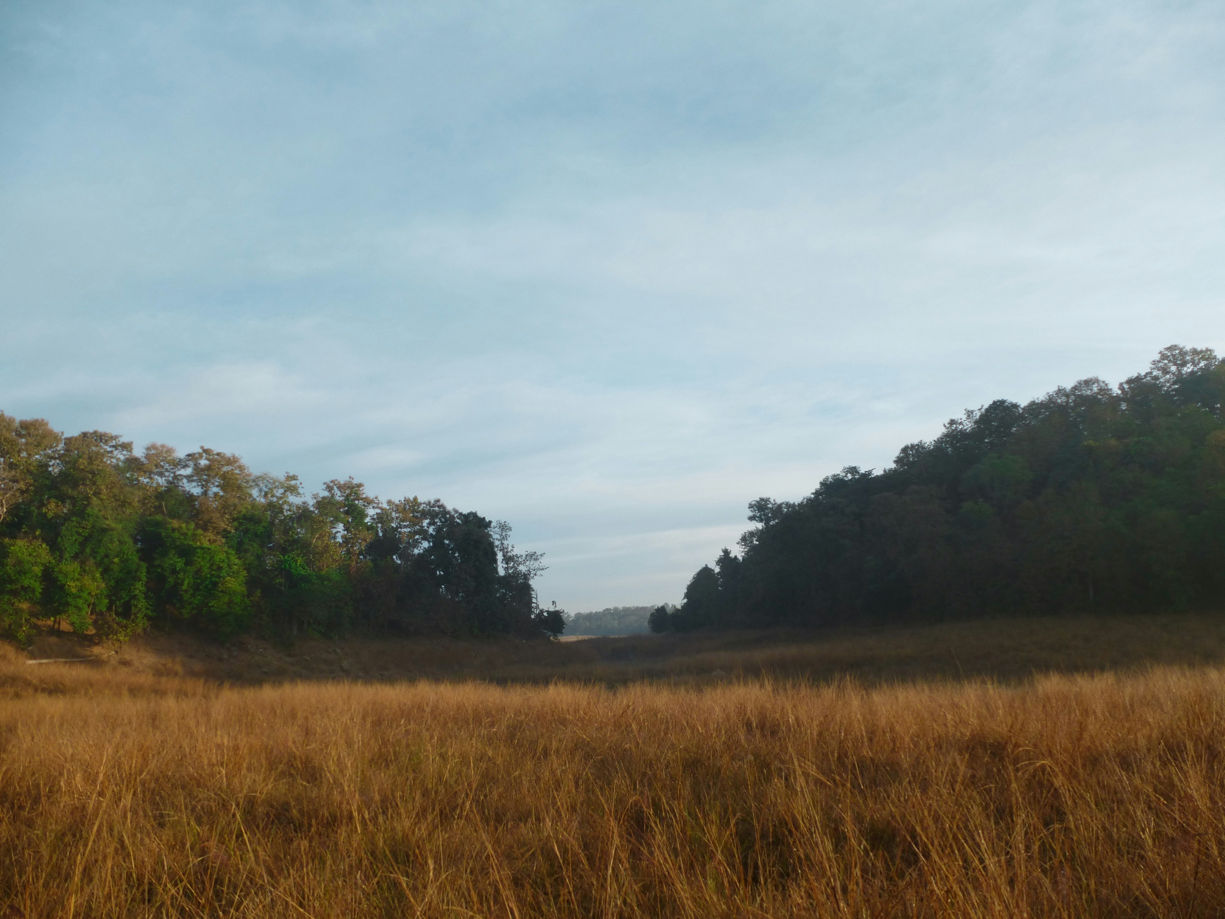 Sample photo from Panasonic Lumix TZ25