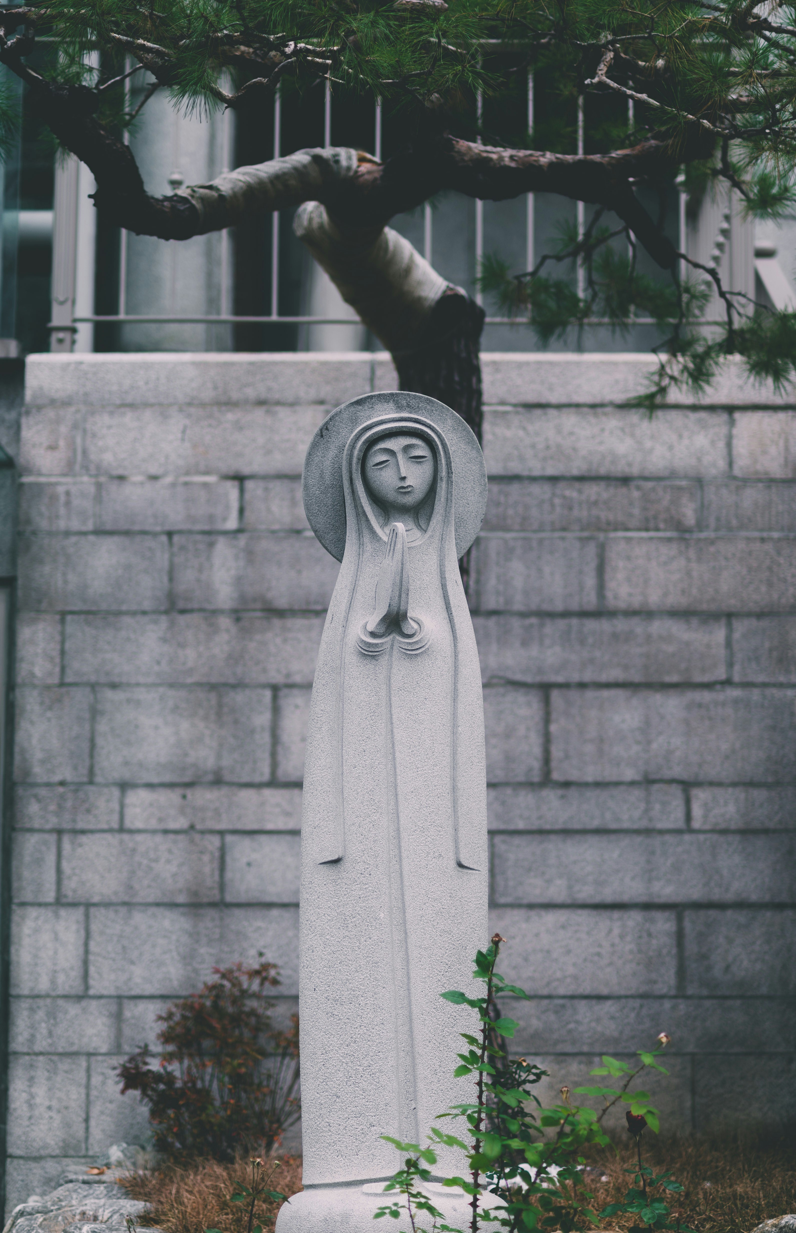 Praying Figure Beneath a Quiet Pine in a Stone Courtyard