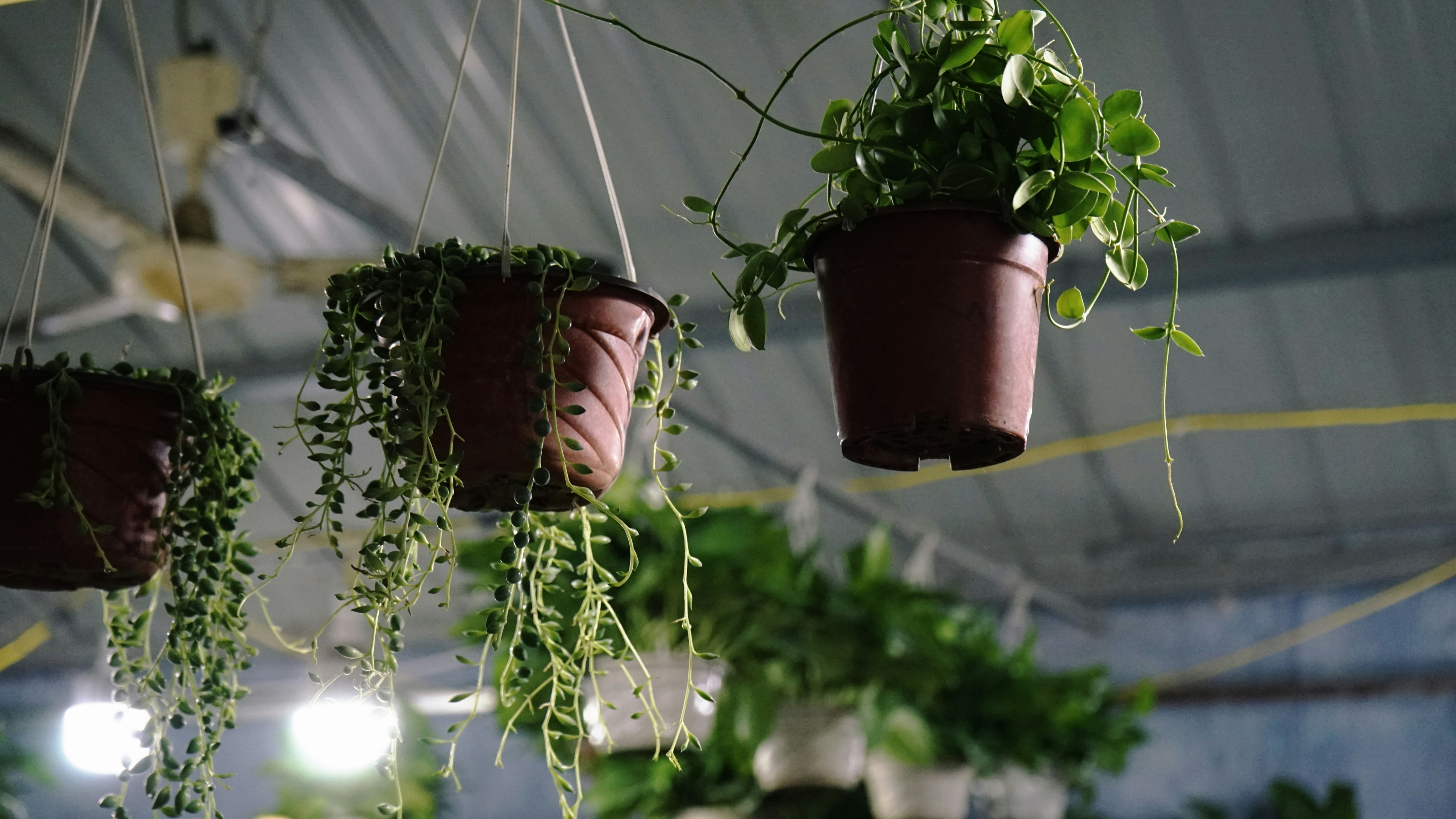 John Smith (@jworld) | Communauté photos Unsplash