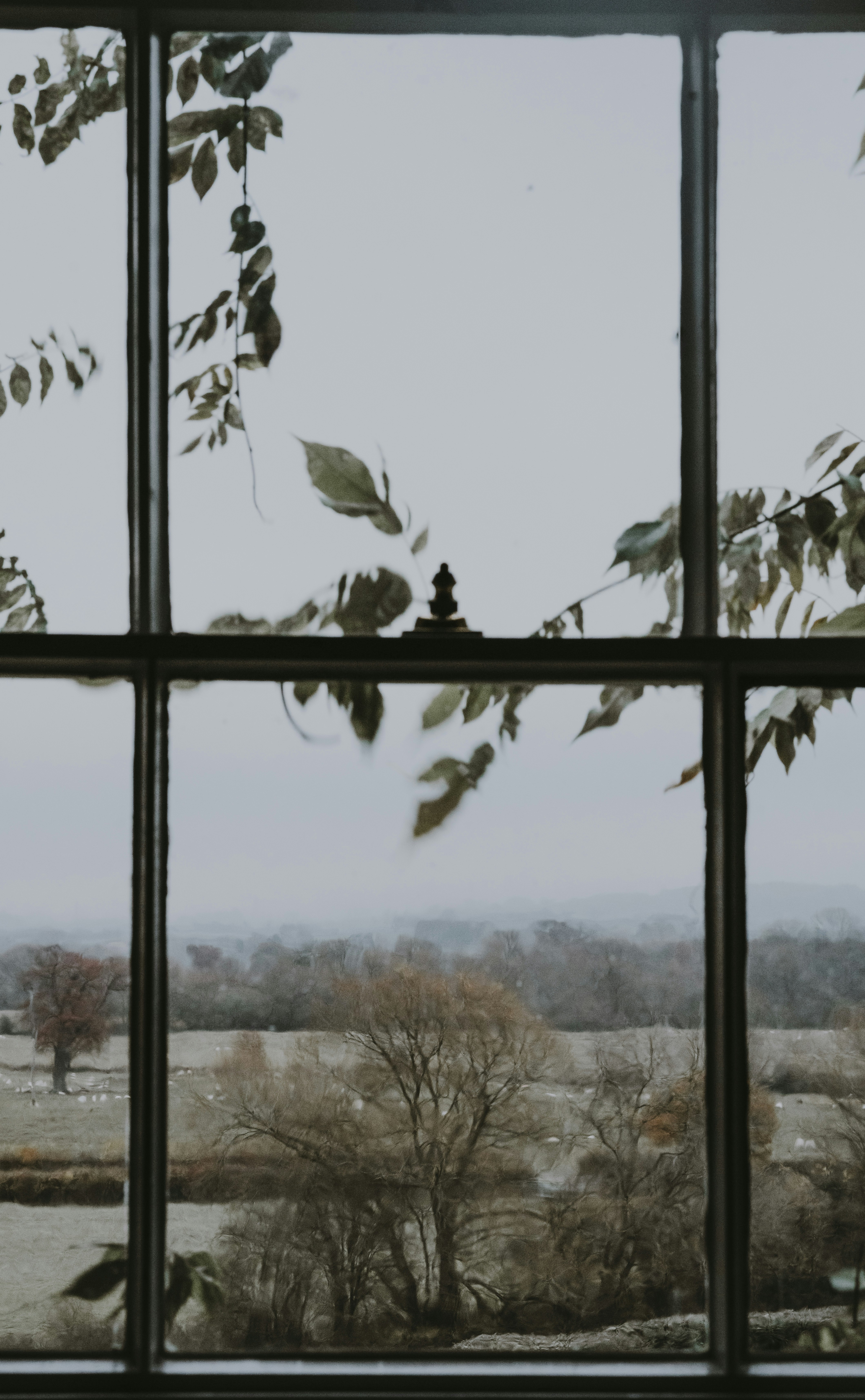 Leaves frame a tranquil landscape viewed through an old window, revealing a serene countryside scene with muted colors.