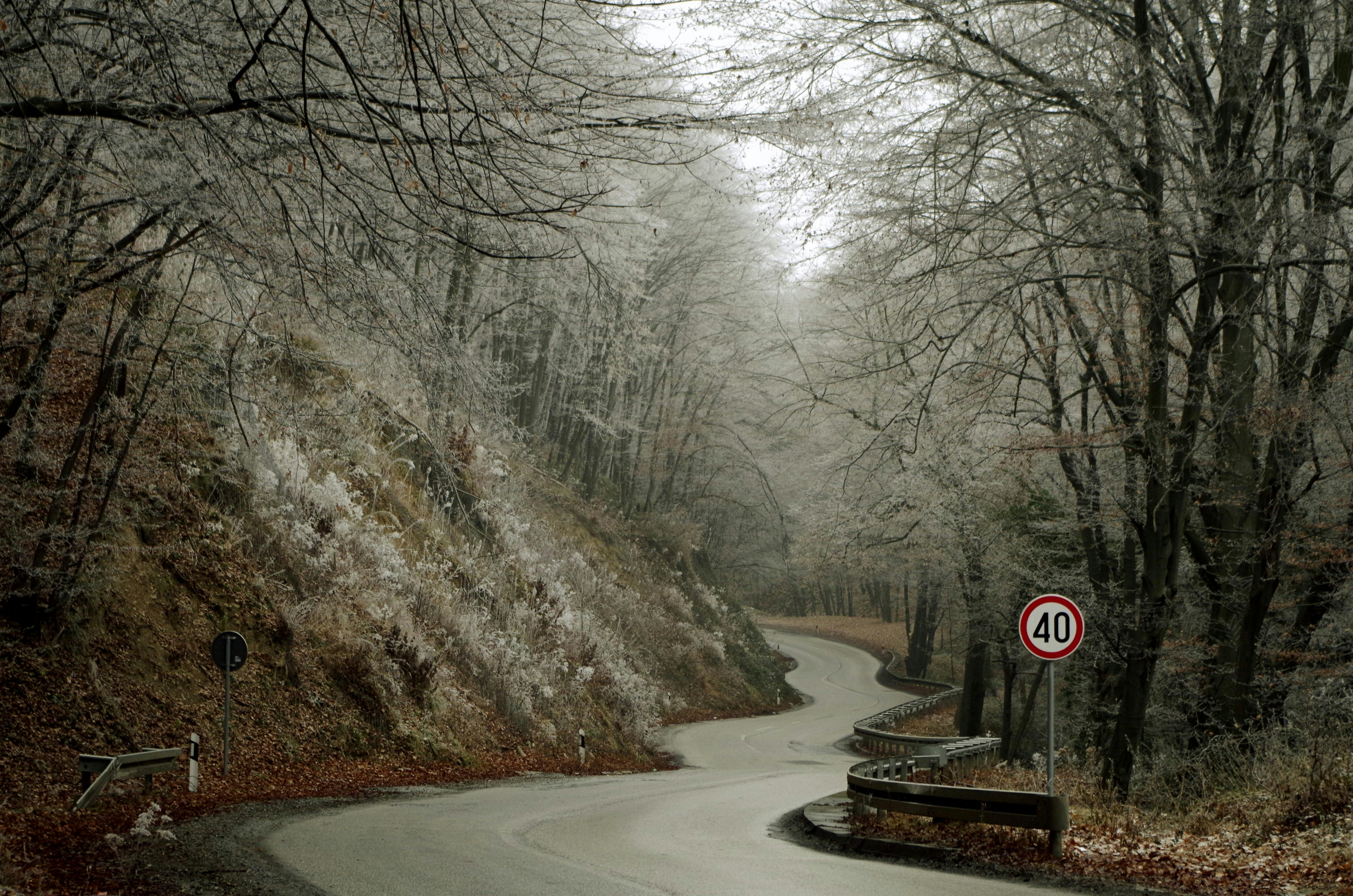 Winding road through a frost-covered forest with barren trees and a traffic sign on the side.